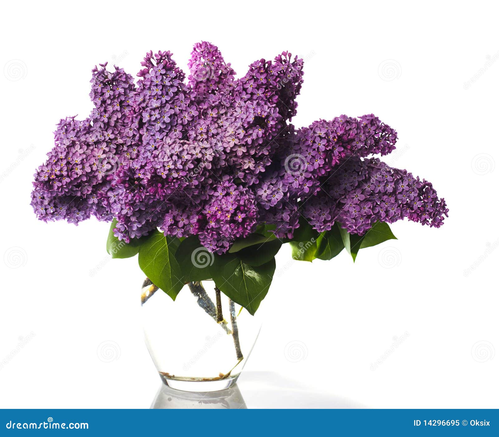 Lilac Flower Bouquet