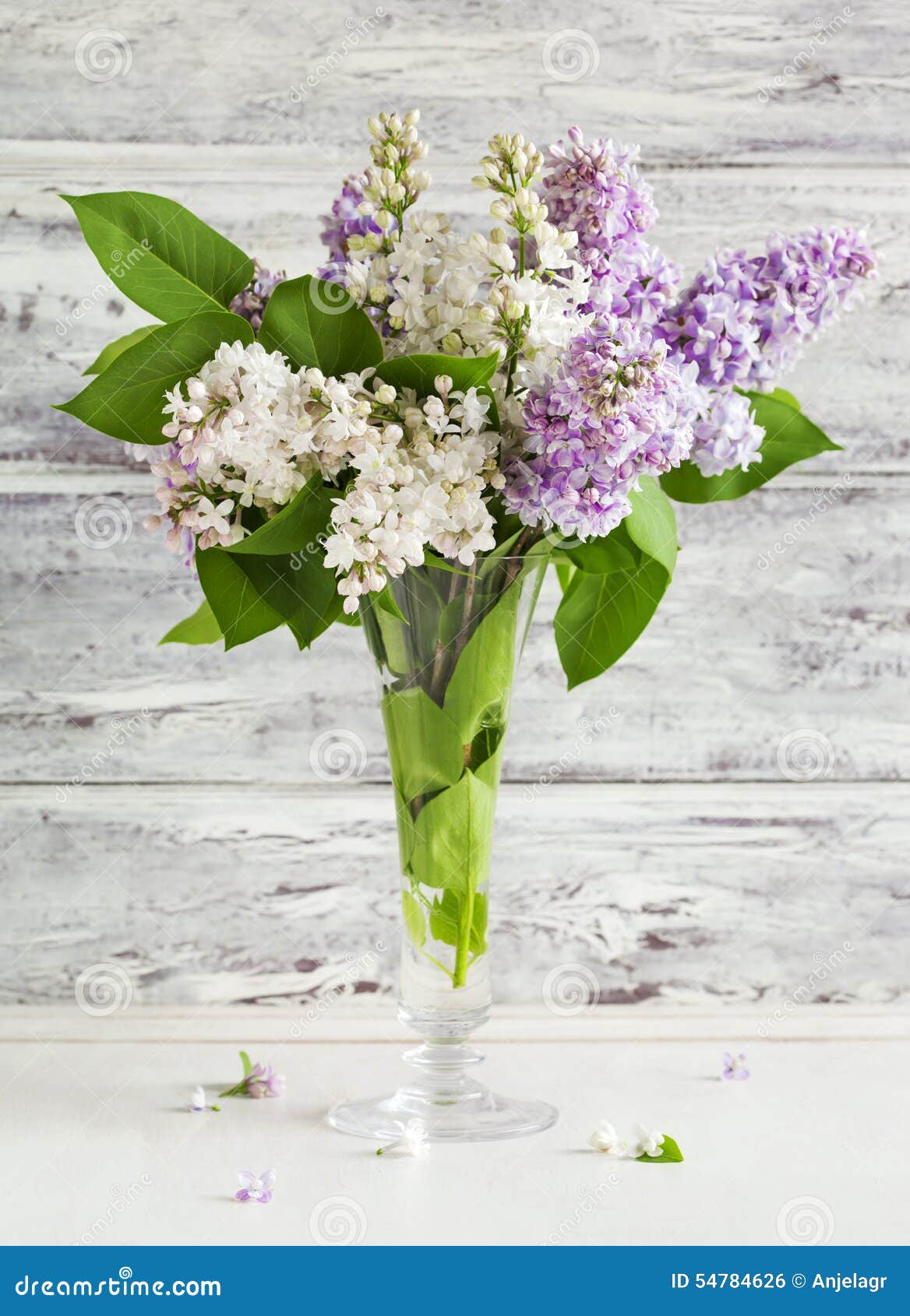 Lilac Bouquet in vase stock photo. Image of bouquet, leaf - 54784626