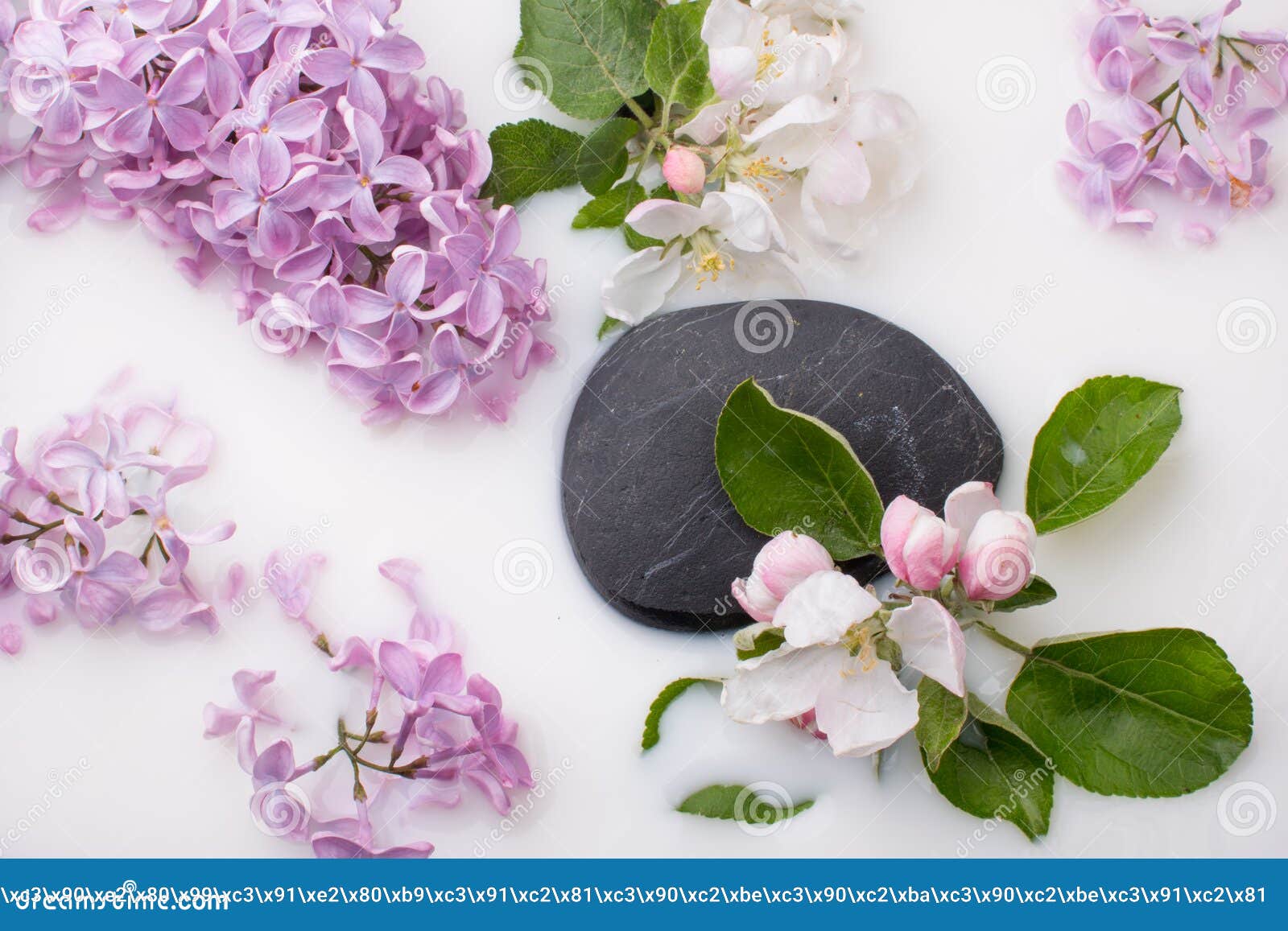Lilac Composition for Spas and Wellness Centers Stock Photo - Image of ...