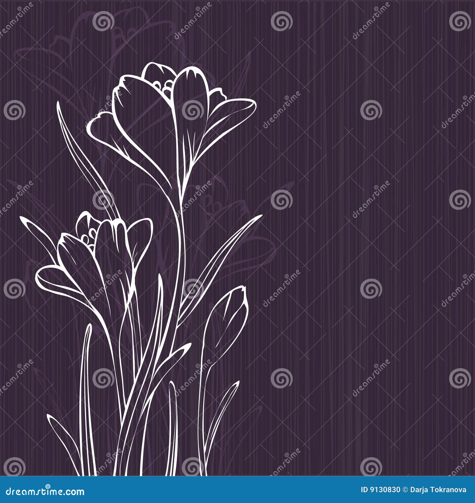 Lilac design with crocus stock vector. Illustration of stripes - 9130830