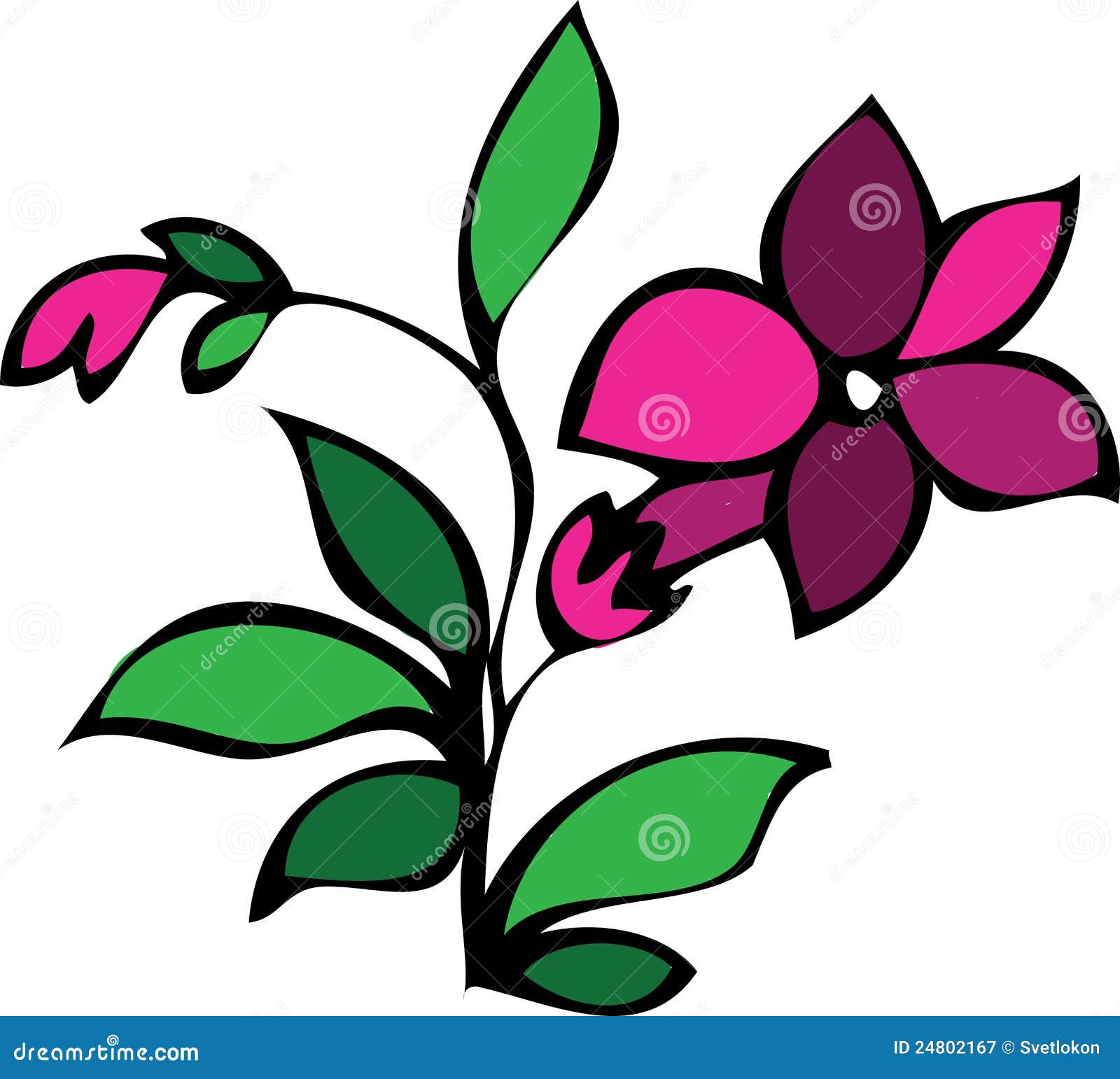Lilac flower design stock illustration. Illustration of nature - 24802167