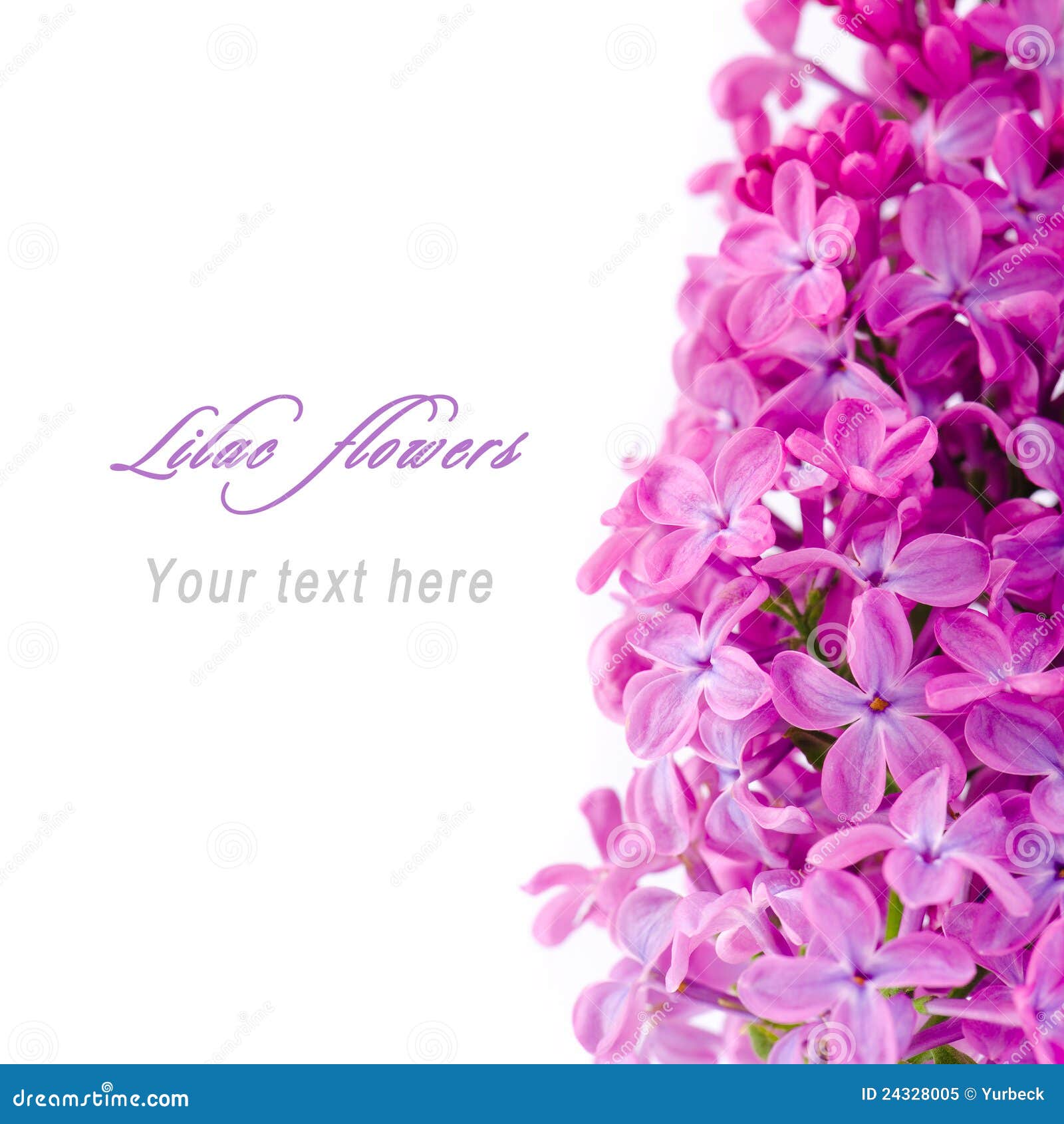 Lilac Flowers with Sample Text Stock Image - Image of purple, mothers ...