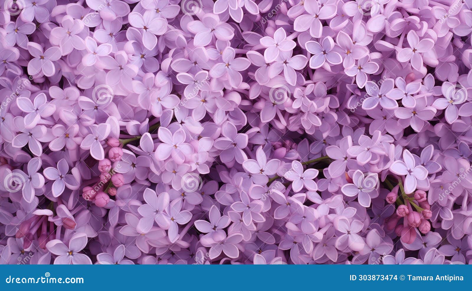 Lilac Flowers Texture Background. Desktop Wallpaper. Copy Space ...