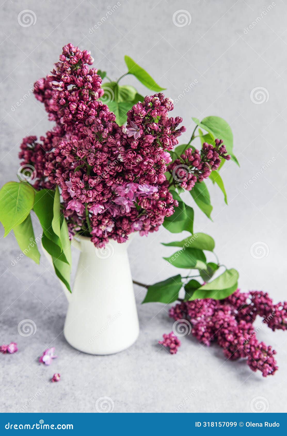 Lilac flowers on a vase stock image. Image of nature - 318157099