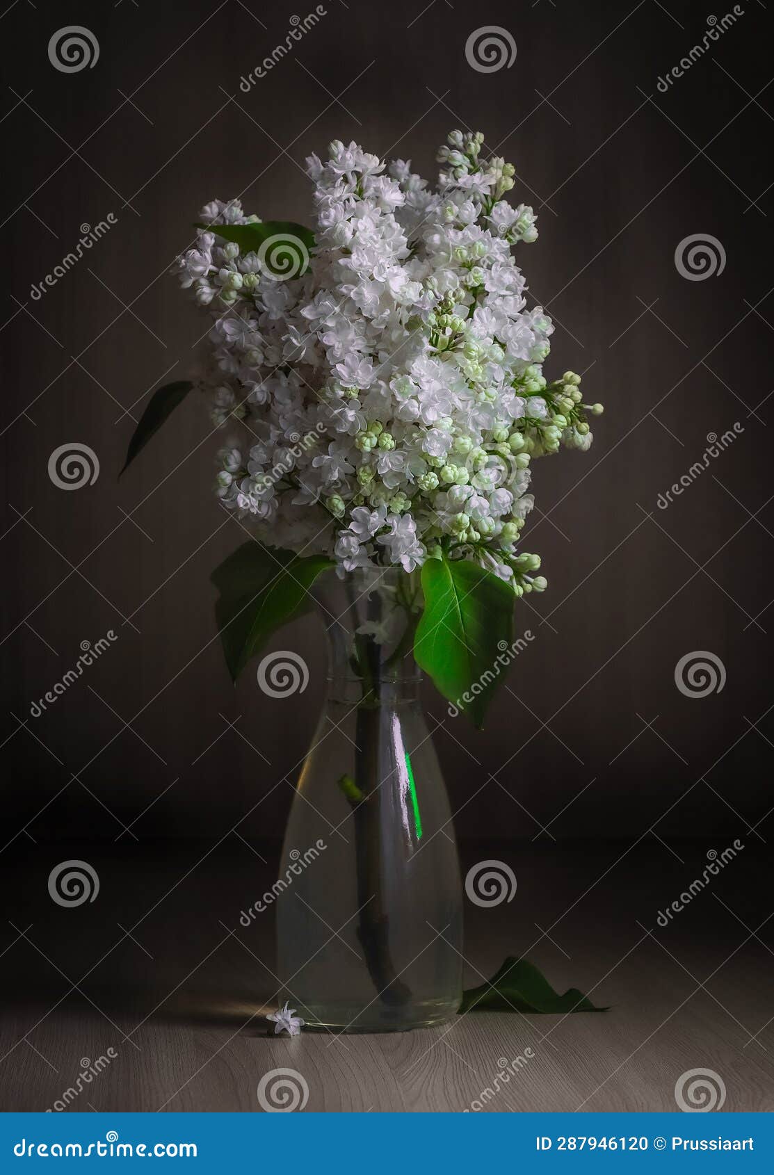 Lilac flowers in a vase stock photo. Image of focus - 287946120