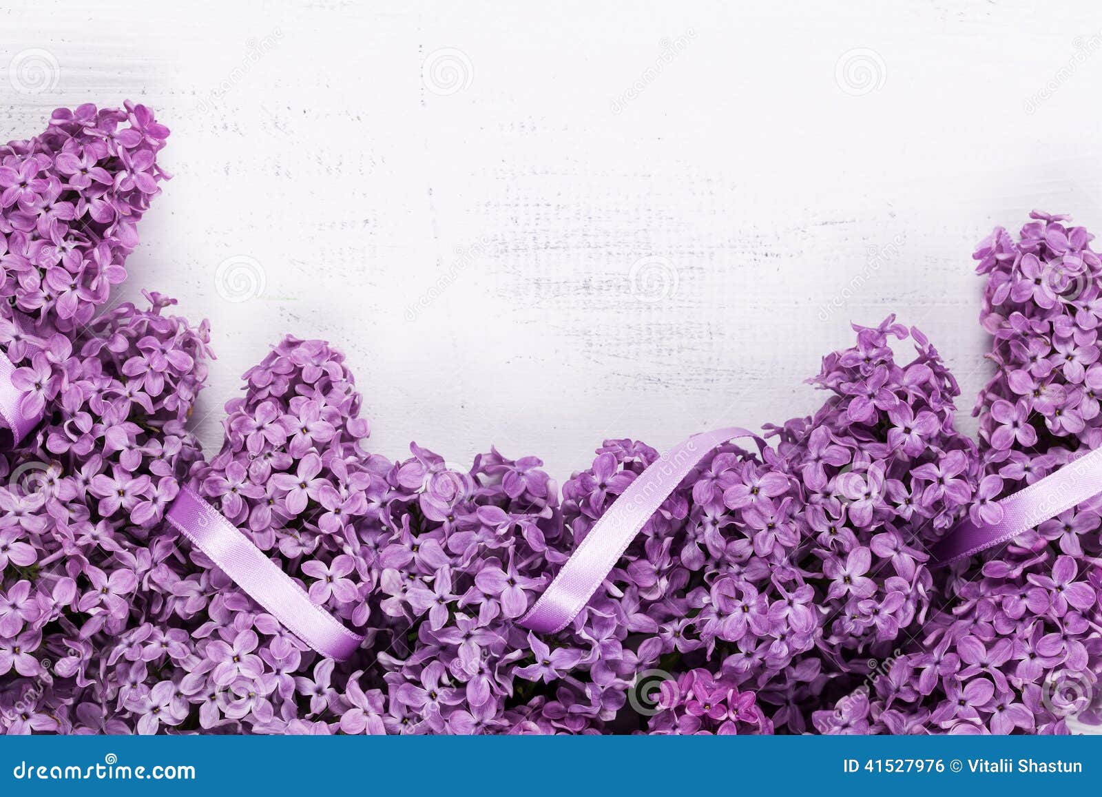 Lilac frame stock photo. Image of floral, design, arrangement - 41527976