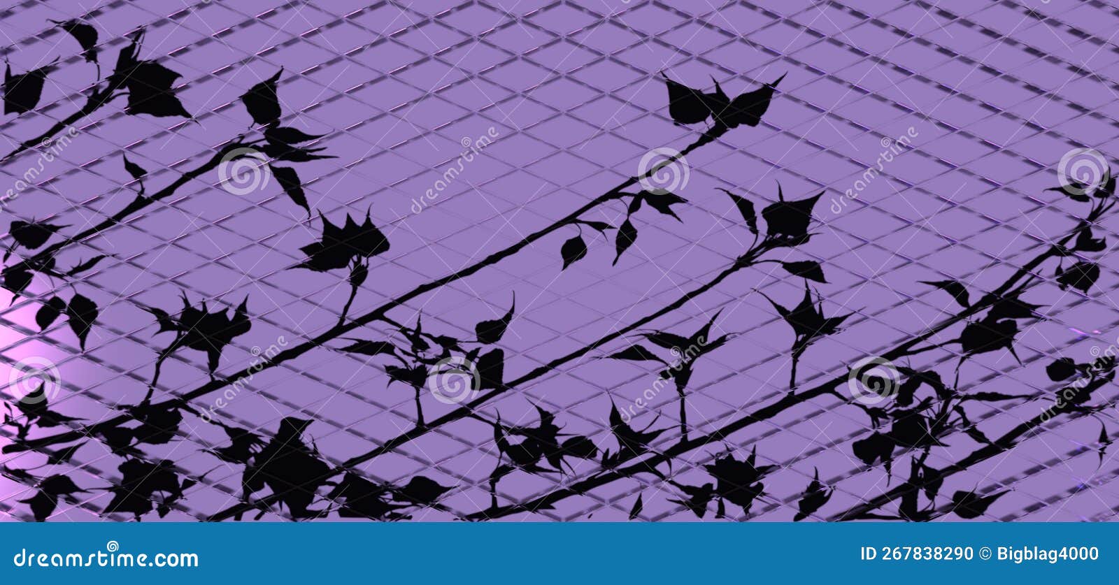 Lilac Glass Surface with Plant`s Branches Shadows.3D Rendered ...