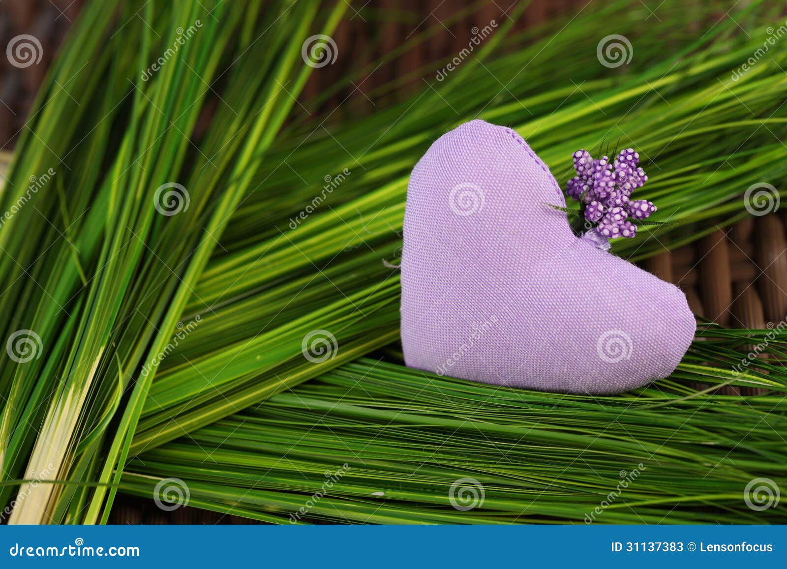 Lilac heart on green grass stock image. Image of webbing - 31137383