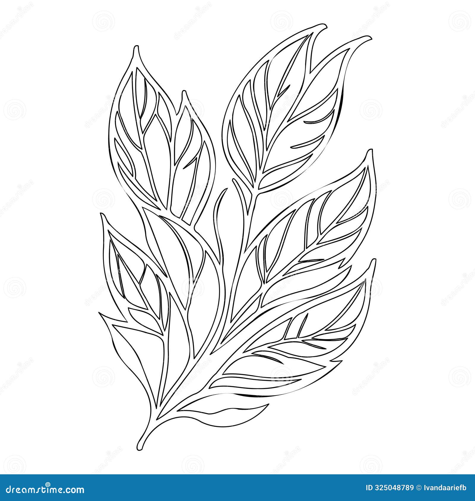 Lilac Leaf Floral Outline Illustration Sketch Stock Vector ...