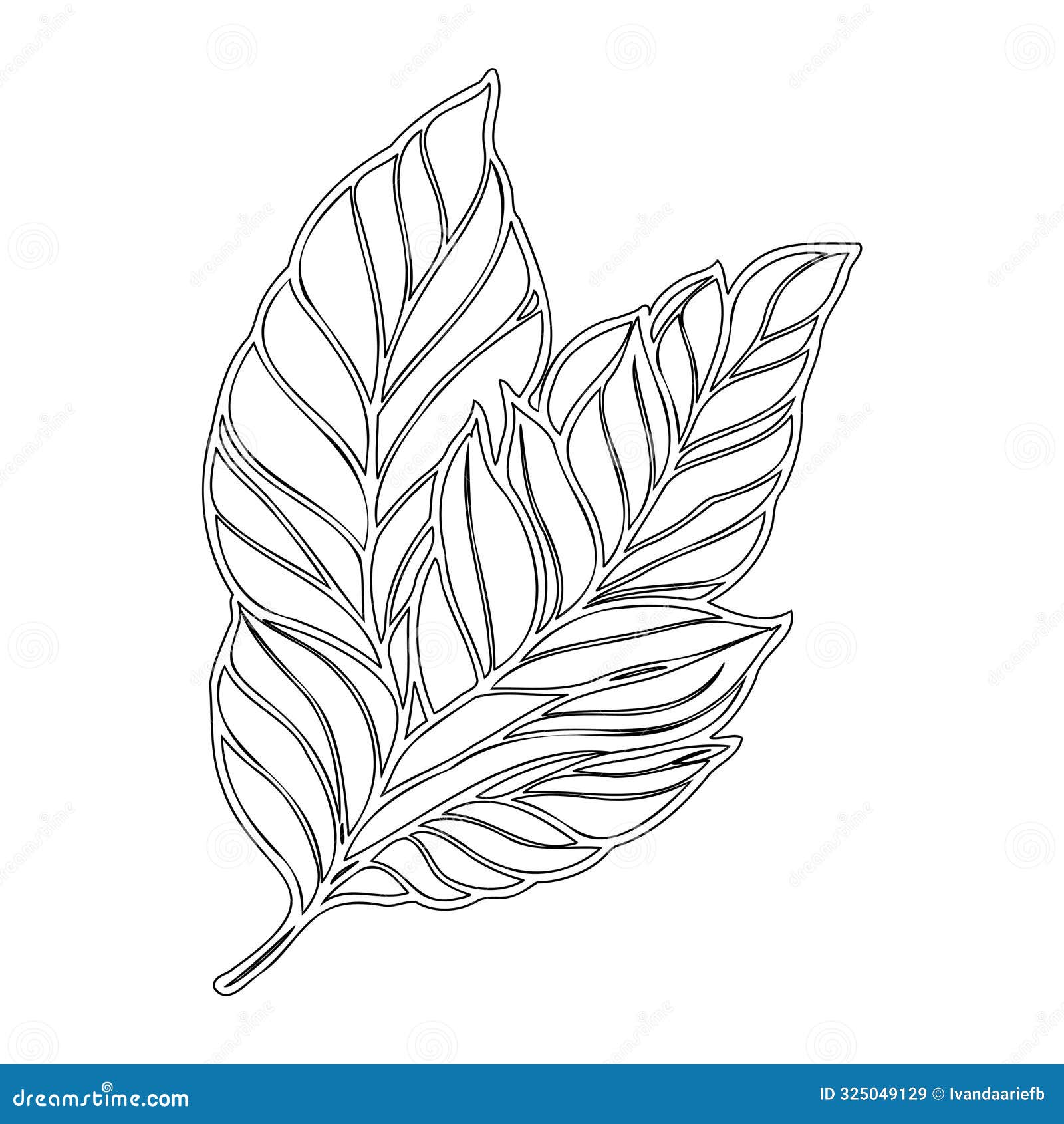 Lilac Leaf Floral Outline Illustration Sketch Stock Vector ...