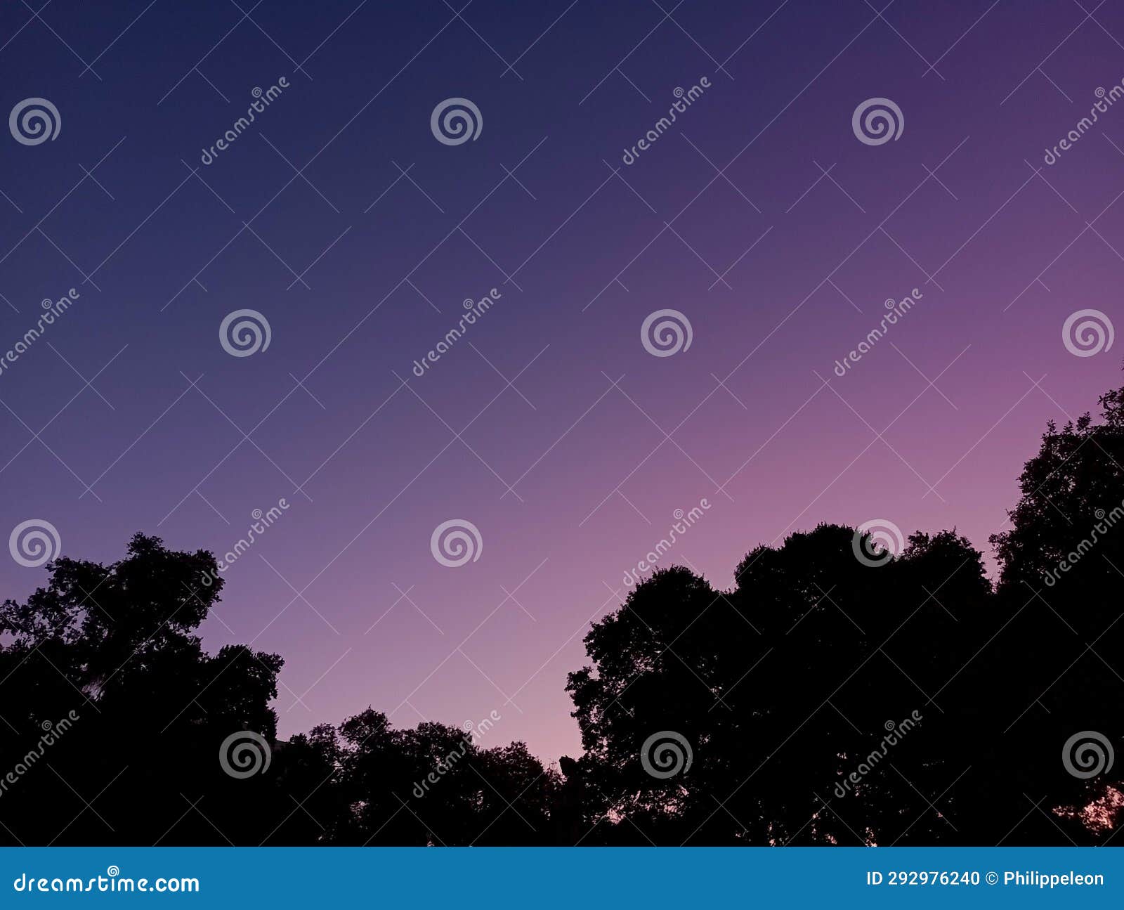 Lilac Sky with Silhouette of Trees Stock Photo - Image of afterglow ...