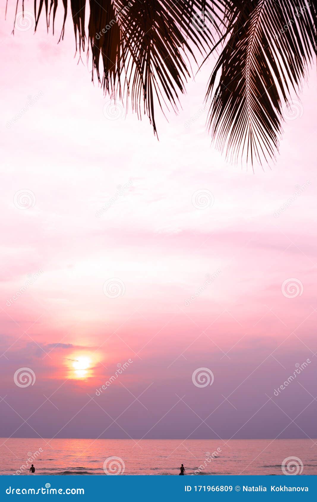 Lilac Sunset with Palm Trees Stock Image - Image of dusk, background ...