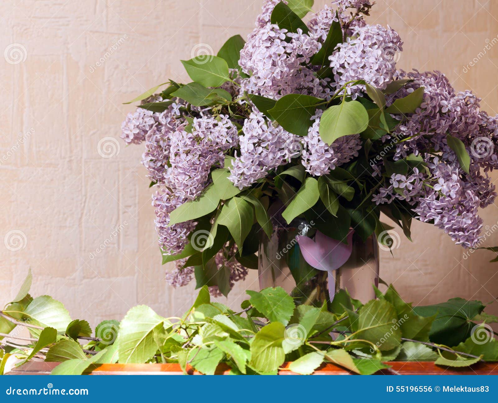 Lilacs in a vase stock photo. Image of springtime, arrangement - 55196556