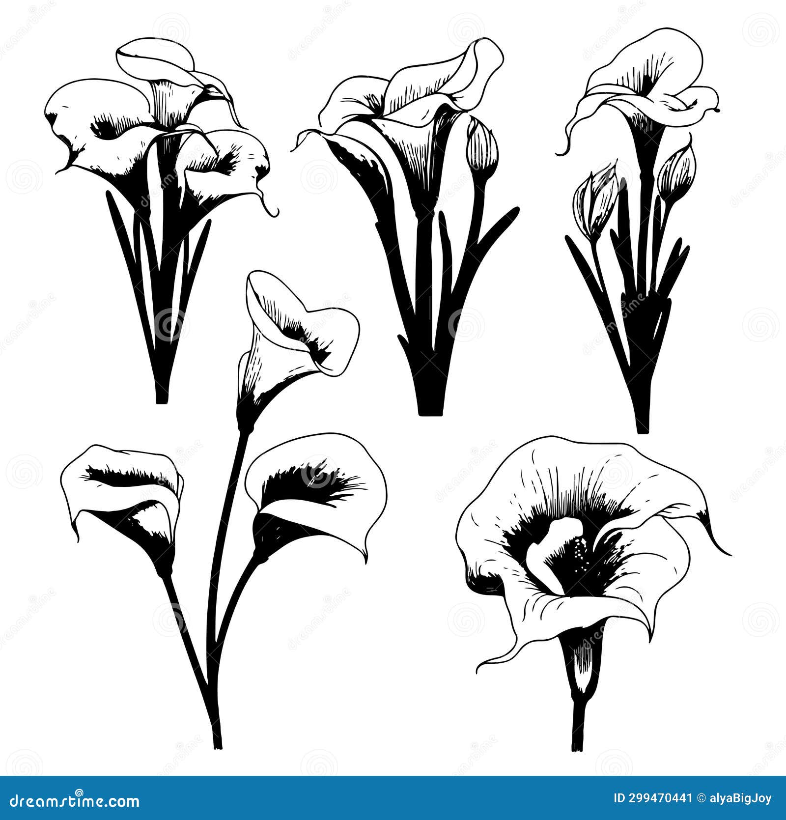 Lilies Calla Set Sketch Hand Drawn in Doodle Style Illustration Stock ...