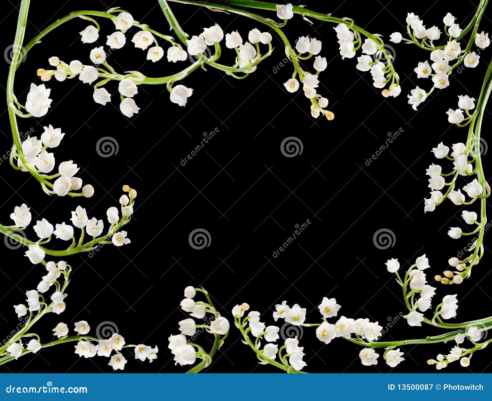 Lilly border stock image. Image of mother, perfume, muguet - 13500087