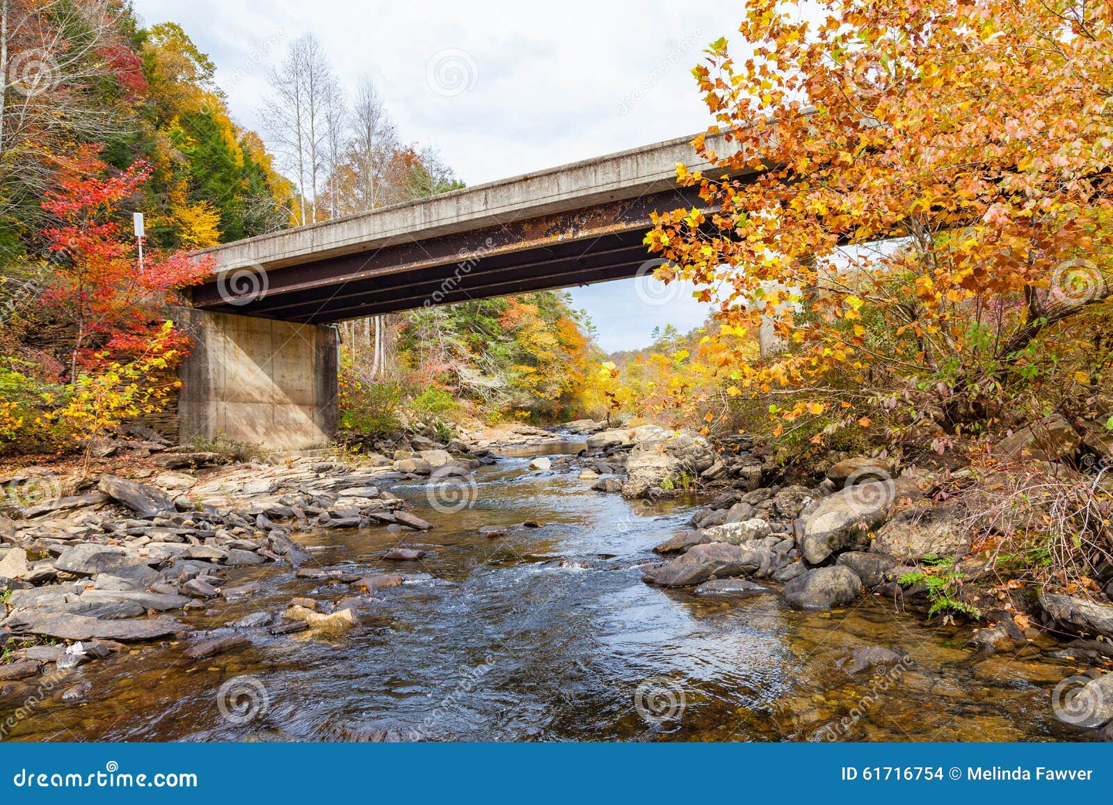 Lilly Bridge at Obed Wild and Scenic River Stock Photo - Image of lilly ...