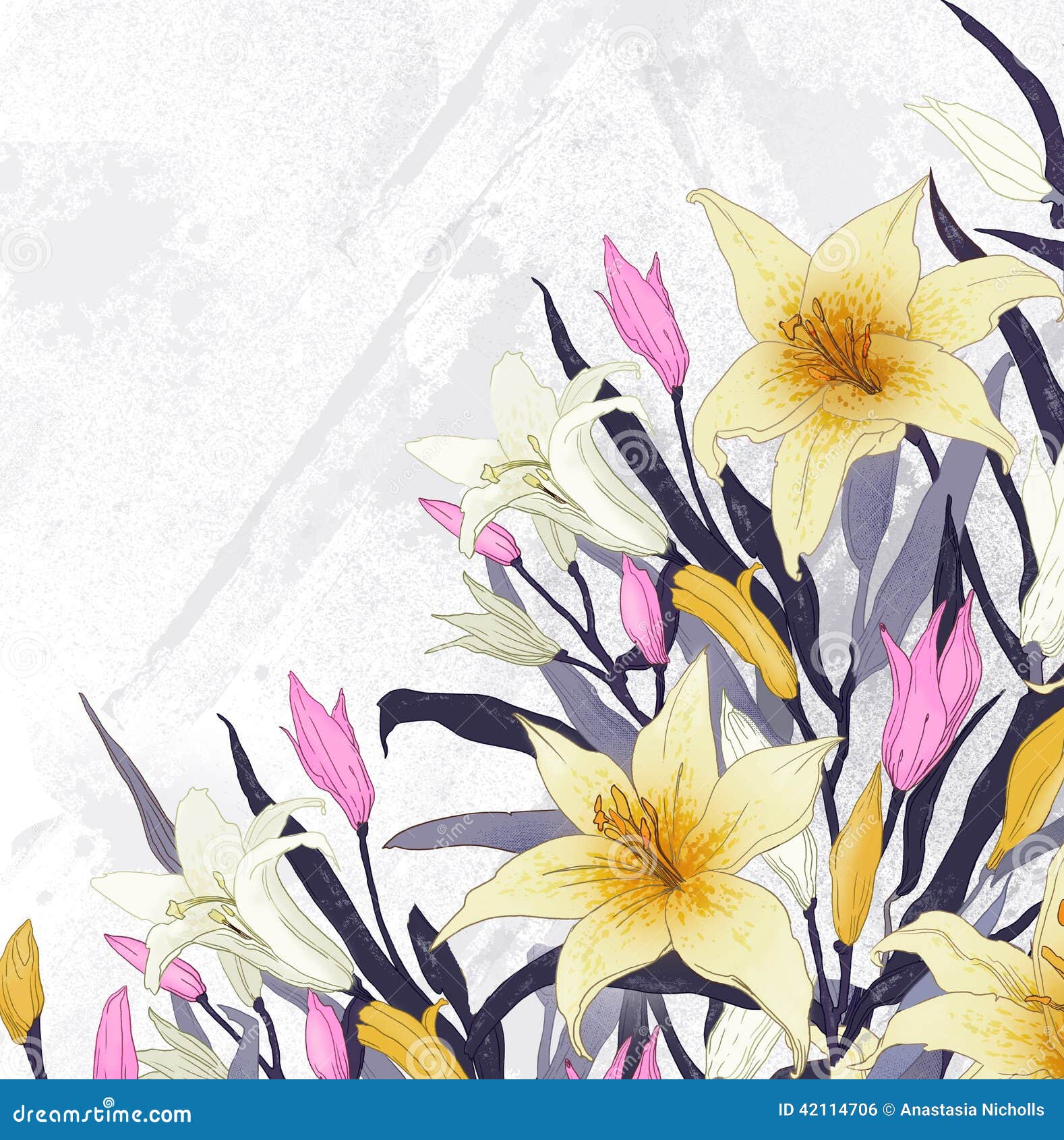 Lilly card stock illustration. Illustration of feminine - 42114706