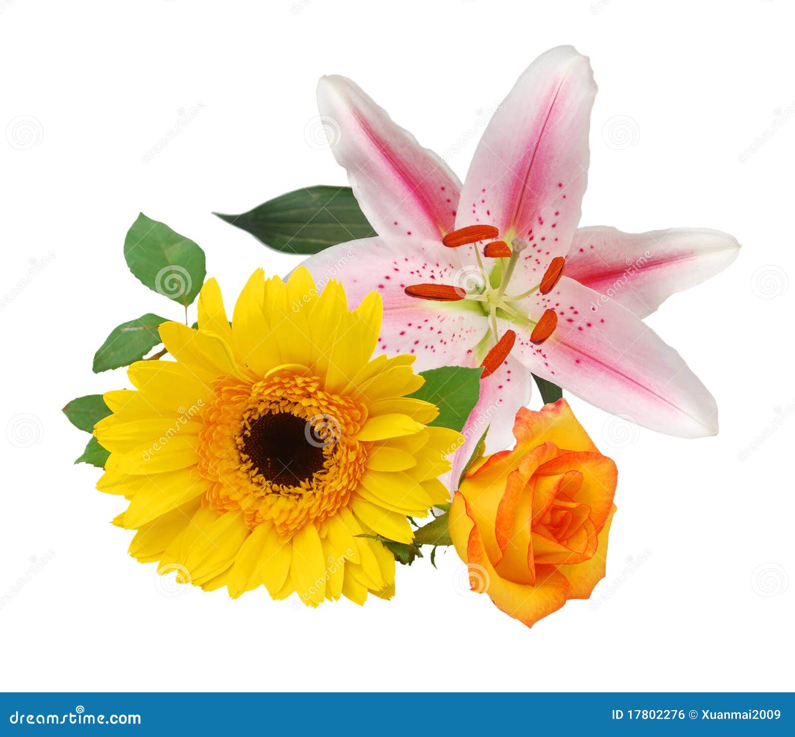 The Lilly Floral Arrangement Stock Photo - Image of decorative, gerber ...