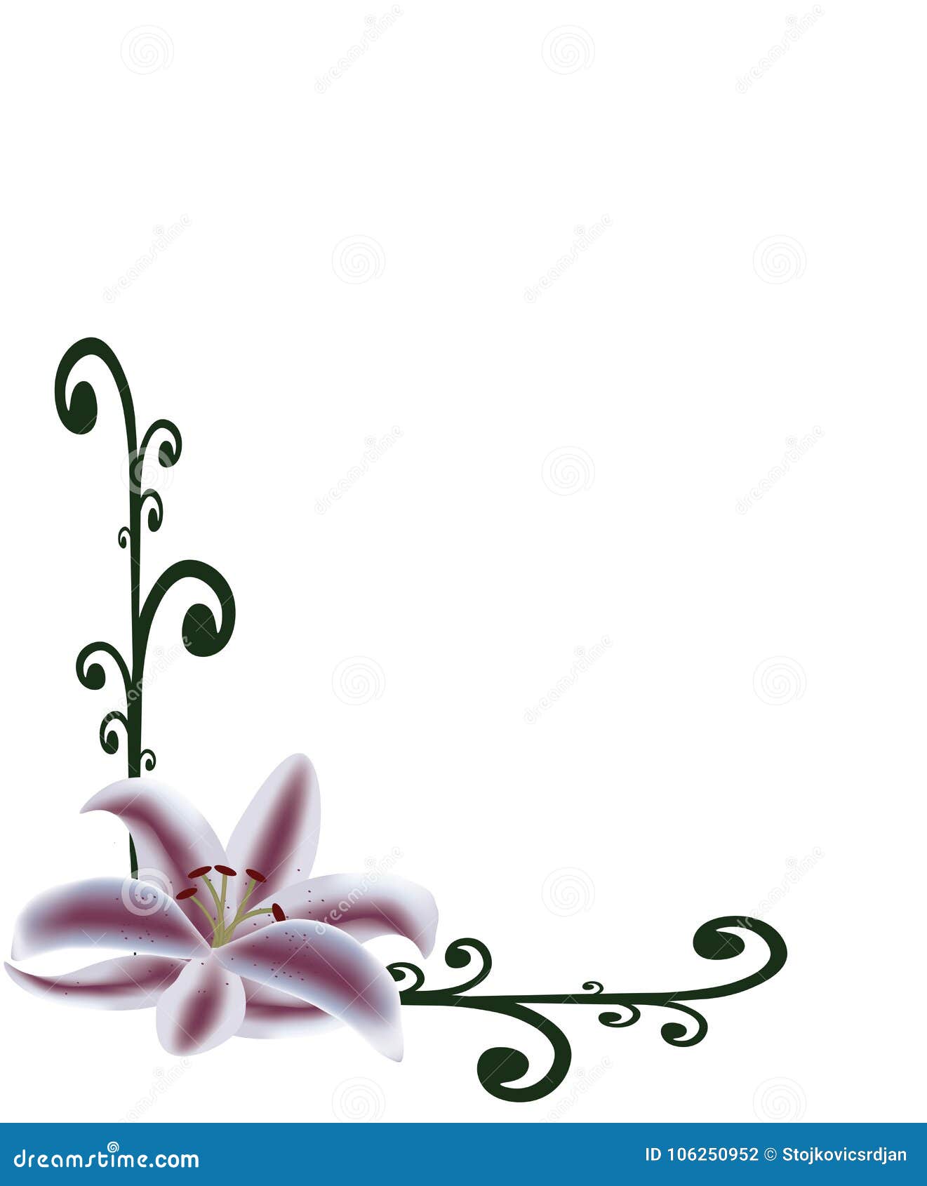 Lilly Flower with Ornament Frame Stock Vector - Illustration of bright ...