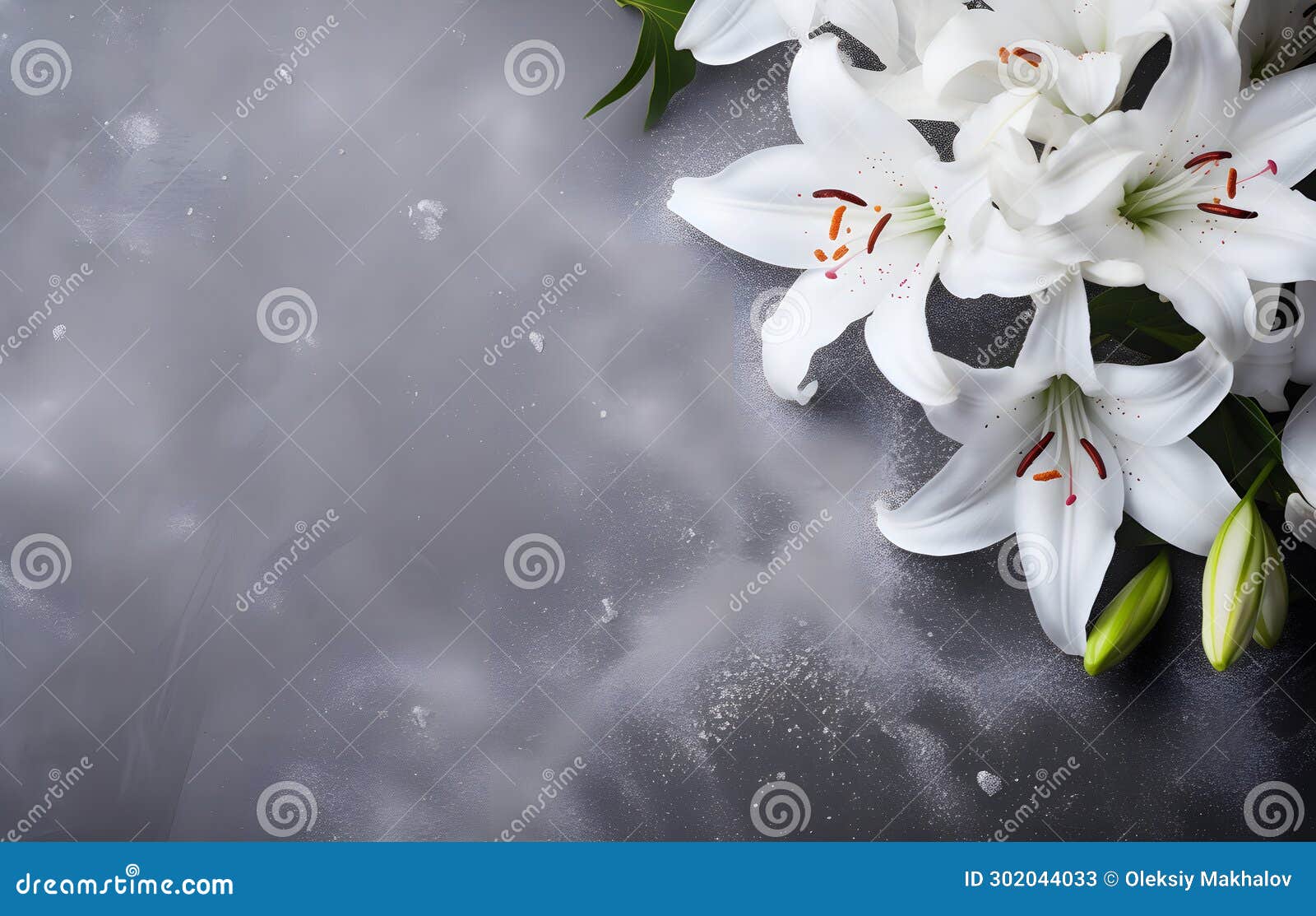 Lilly Flowers and Leaves on Grey Snowy Background Top View Stock ...