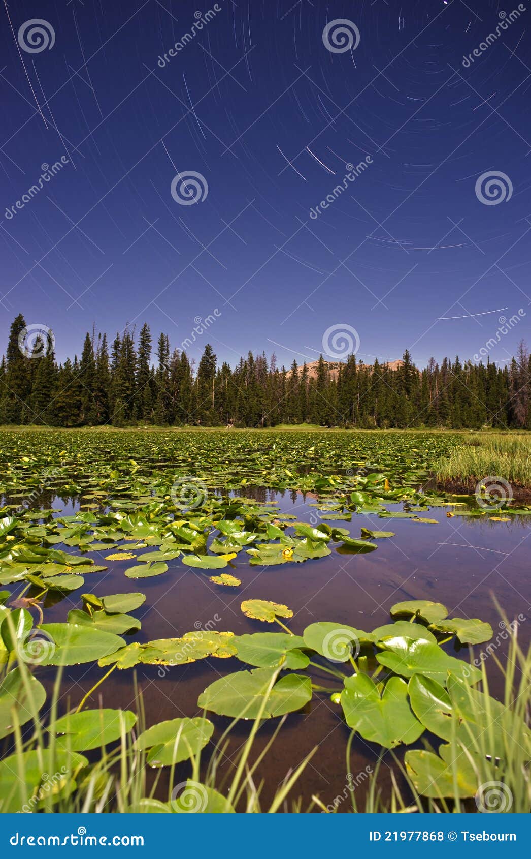 Lilly Lake Wasatch Star Trails Stock Photo - Image of exposure, field ...