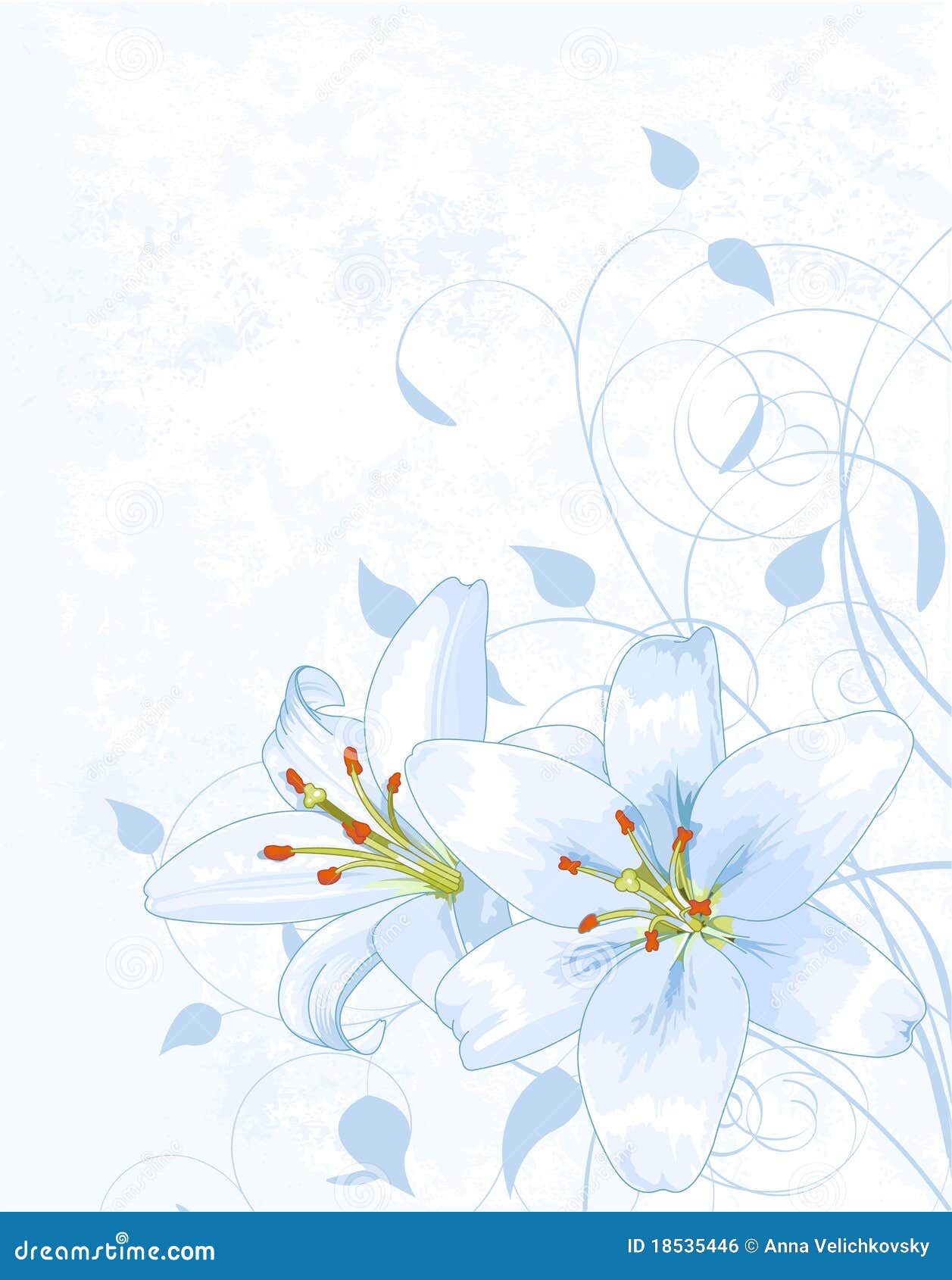 Lilly On Light Blue Background Vector Illustration | CartoonDealer.com ...