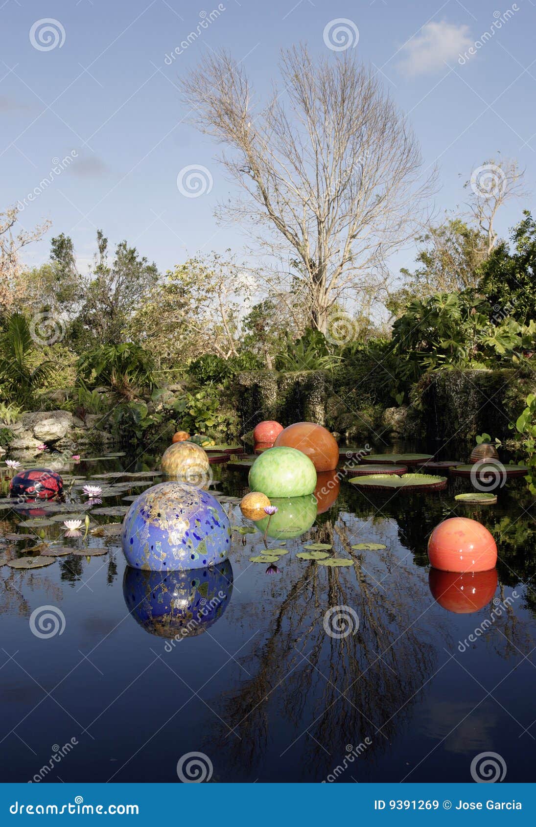 Lilly Pond with Glass Spheres Stock Image - Image of flower, venetian ...