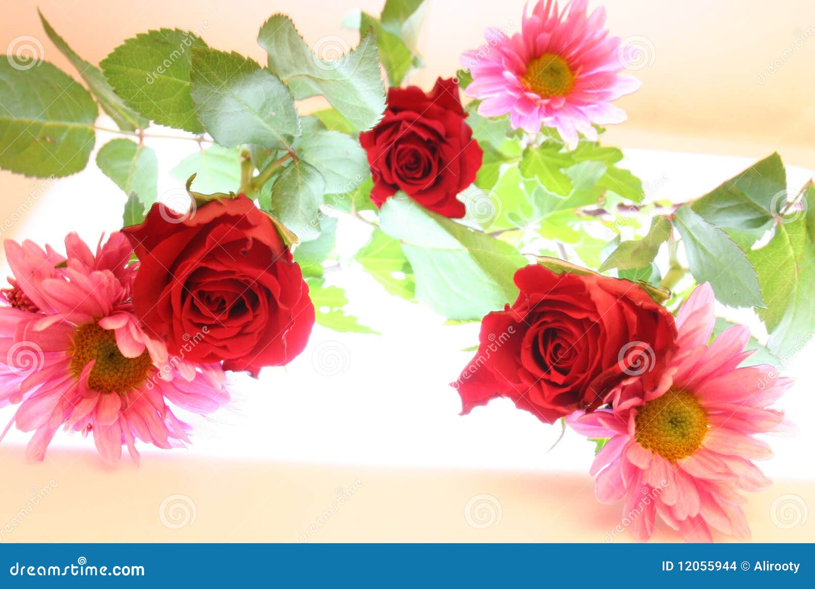 Lilly&Roses stock photo. Image of nature, isolated - 12055944