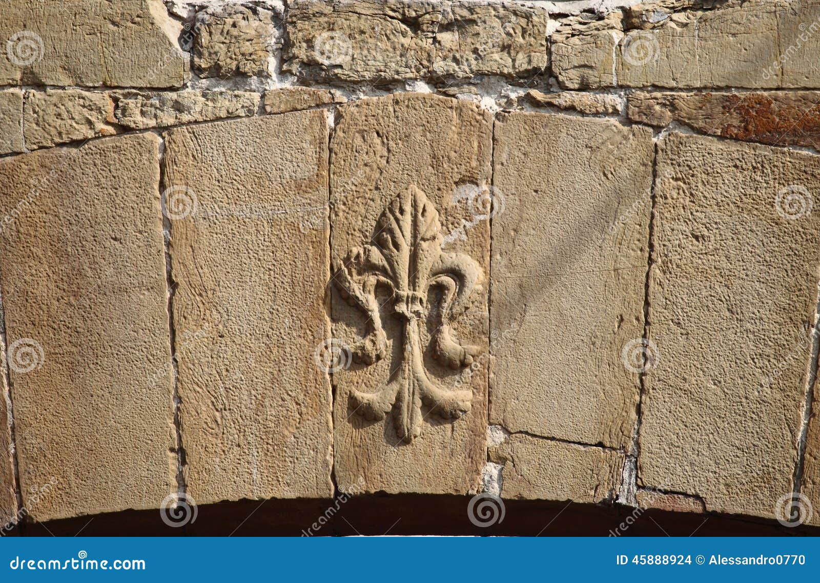 Lily of Florence stock photo. Image of firence, basrelief - 45888924