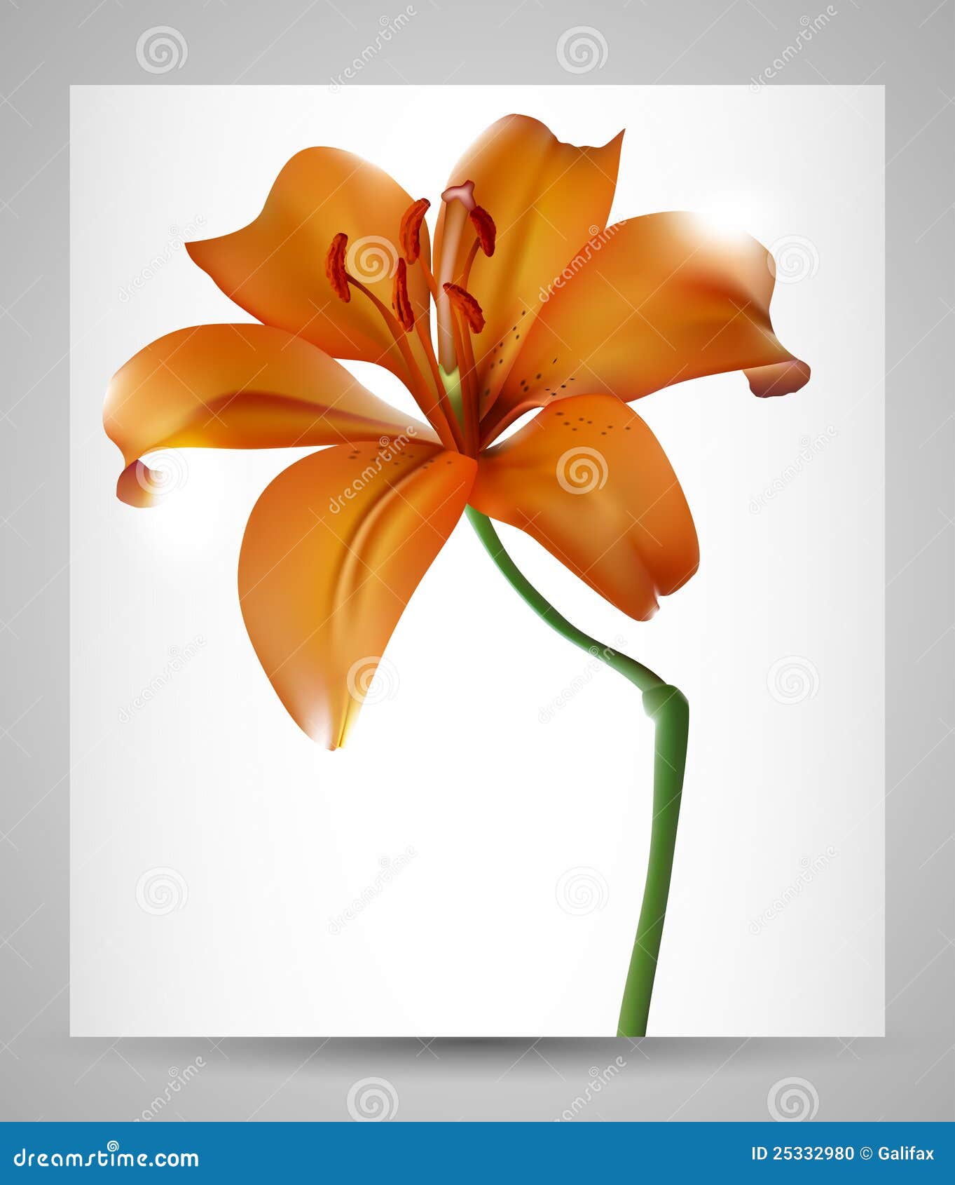 Lily flower abstract. stock vector. Illustration of leaf - 25332980