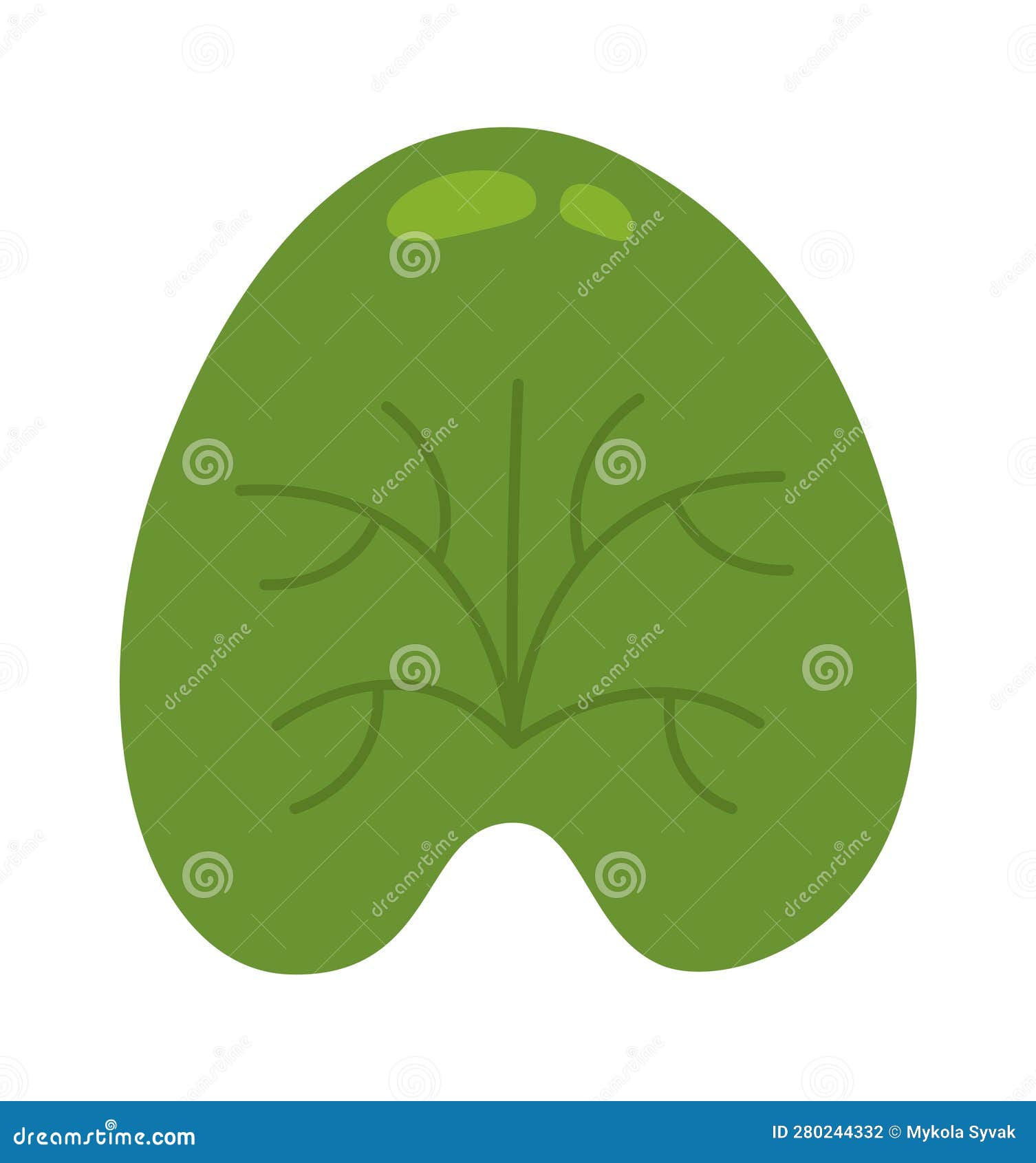 Lily Flower Leaf stock vector. Illustration of flower - 280244332