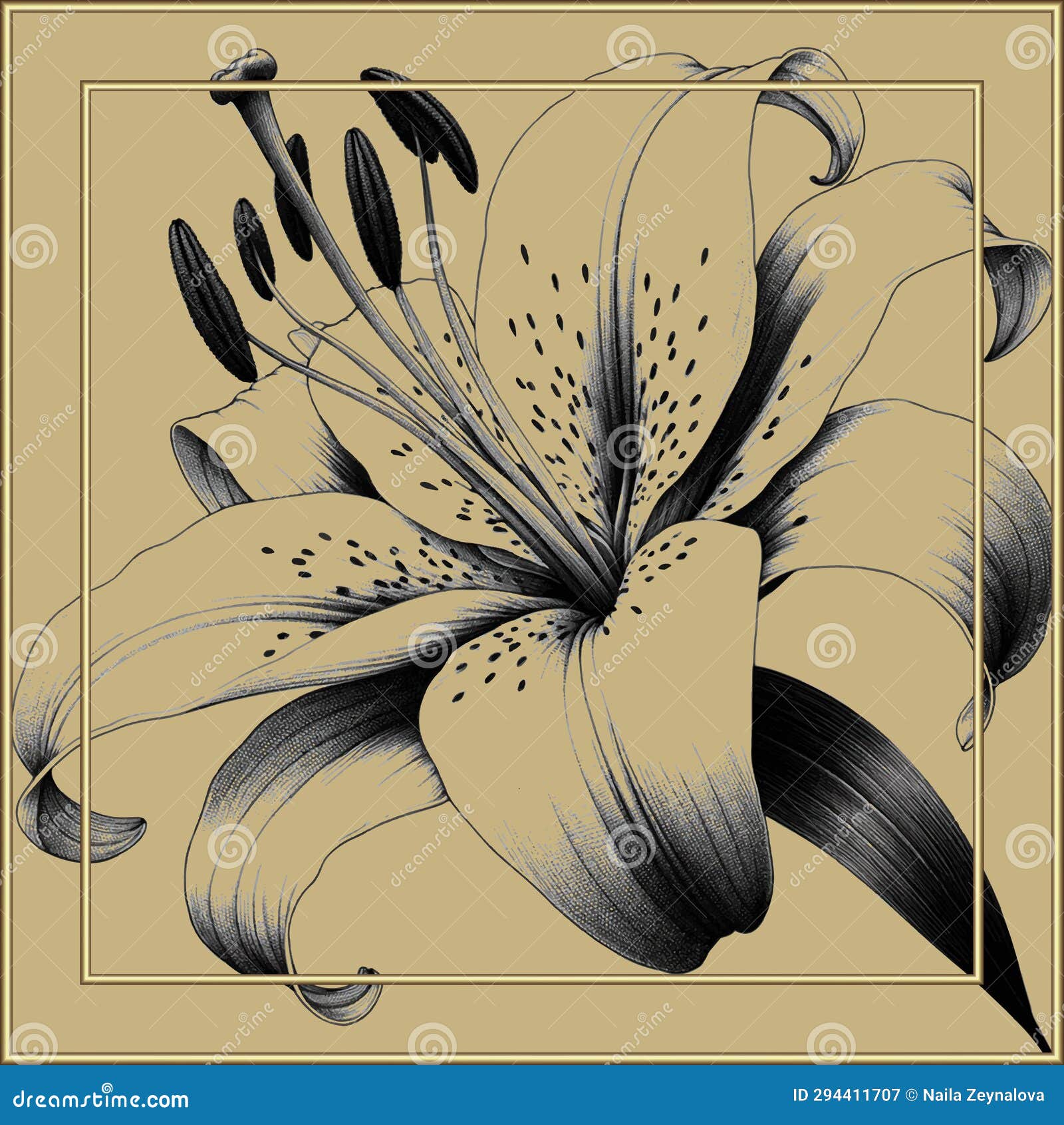 A Set Of Frames Of Lily Flowers Drawings With Bronze Metallic Outline ...