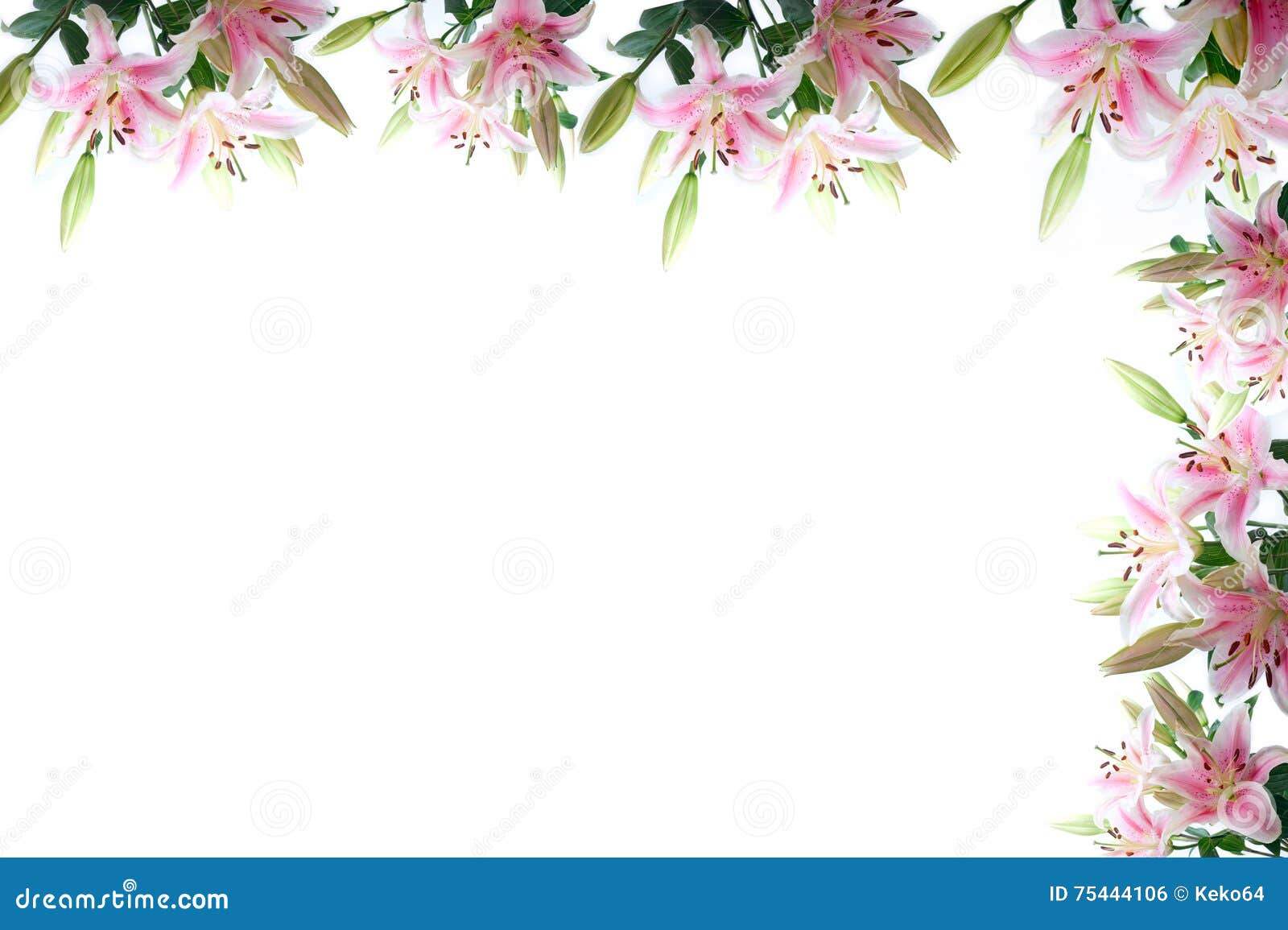 Lily Flowers Composition Frame Stock Photo - Image of decoration ...