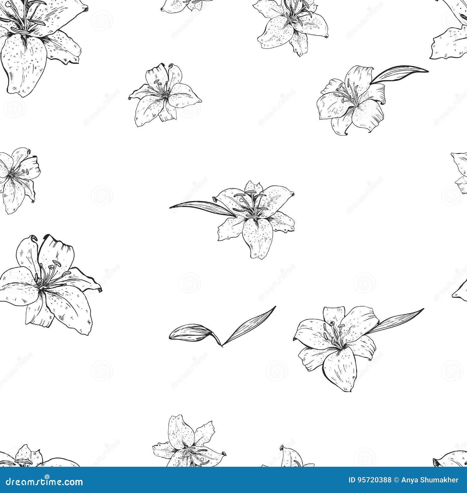 Lily Flowers Hand Drawn in Contour. Seamless Pattern. Vector ...