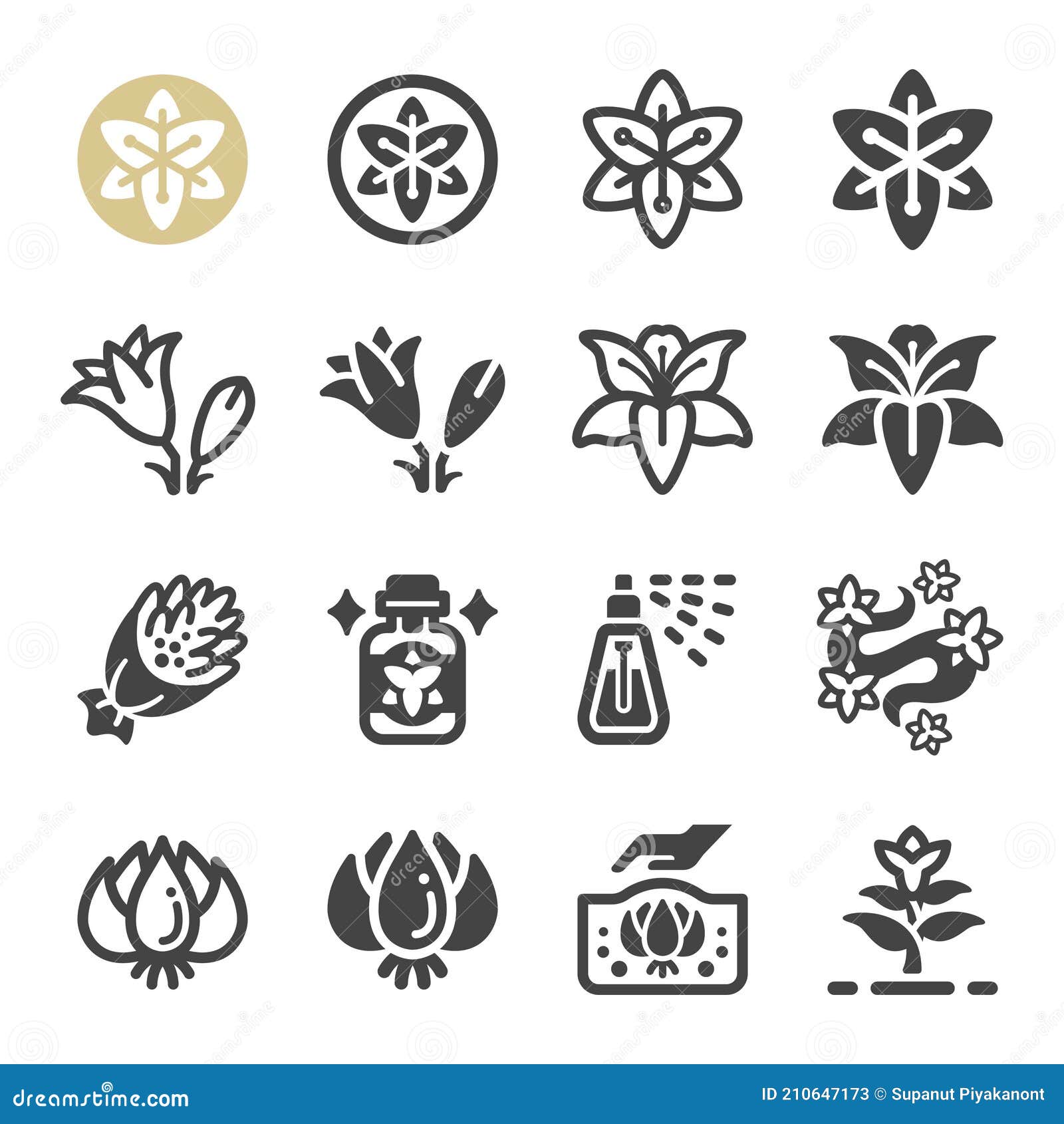 Lily icon set stock vector. Illustration of decoration - 210647173