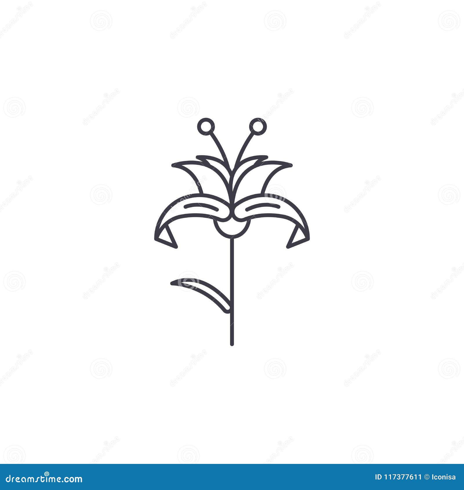 Lily Line Icon Concept. Lily Flat Vector Sign, Symbol, Illustration ...