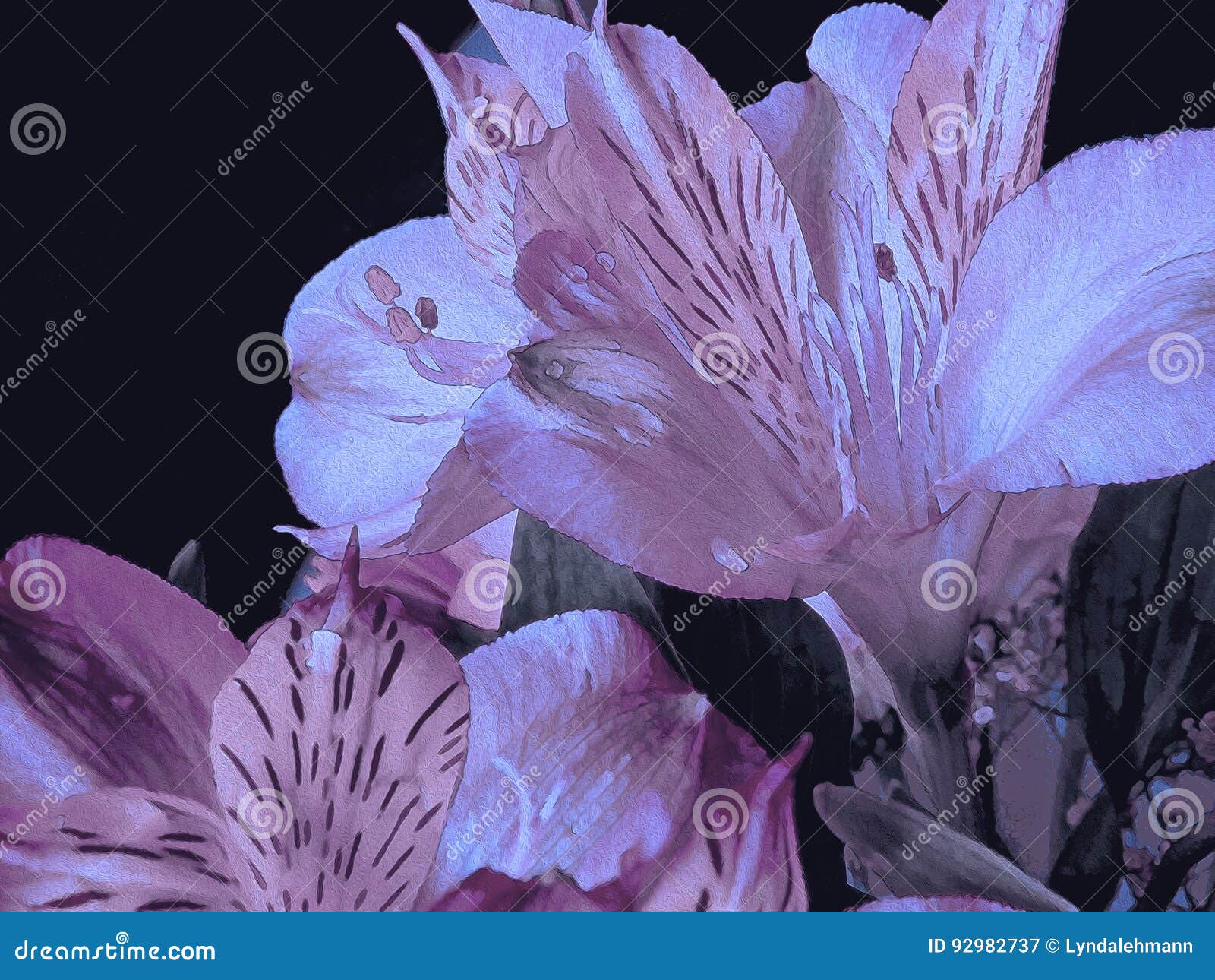 Lily Profile Dans La Violette Illustration Stock - Illustration du ...