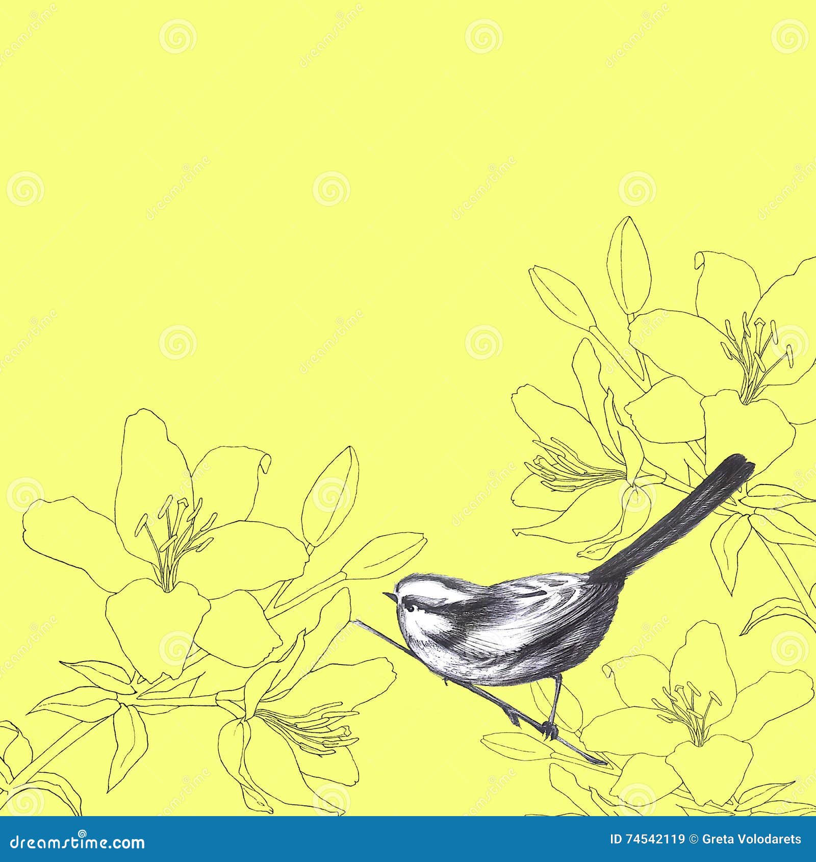 Lily Sparrow Stock Illustrations – 12 Lily Sparrow Stock Illustrations ...