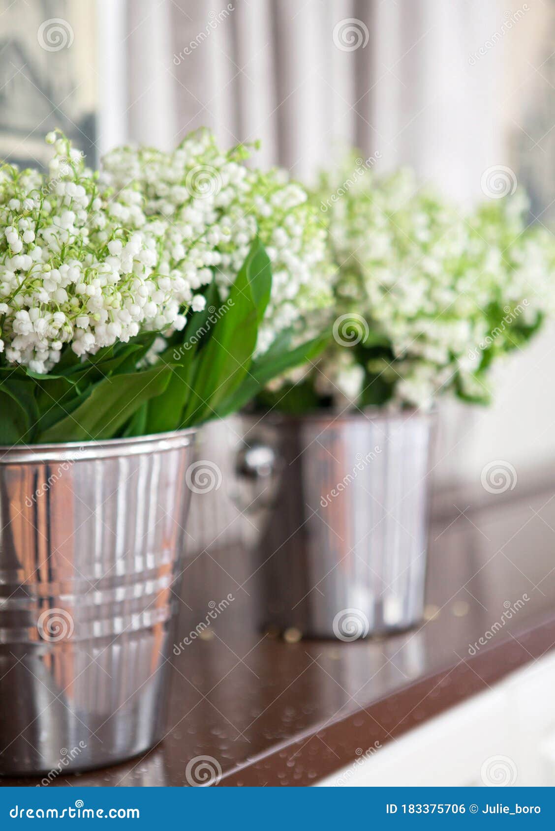 Lily of the valley stock photo. Image of metal, floral - 183375706