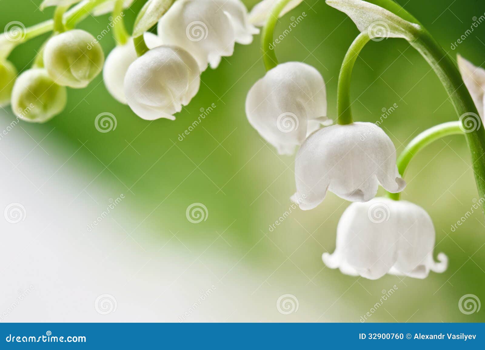Lily Of The Valley Bouquet On The Pile Of A Old Books. Top View Spring ...