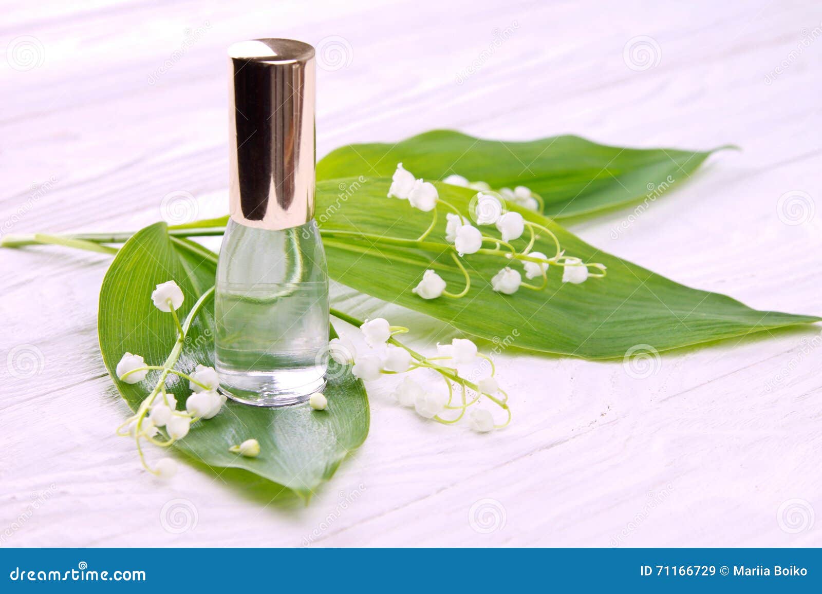 Lily of the valley perfume stock image. Image of essence - 71166729