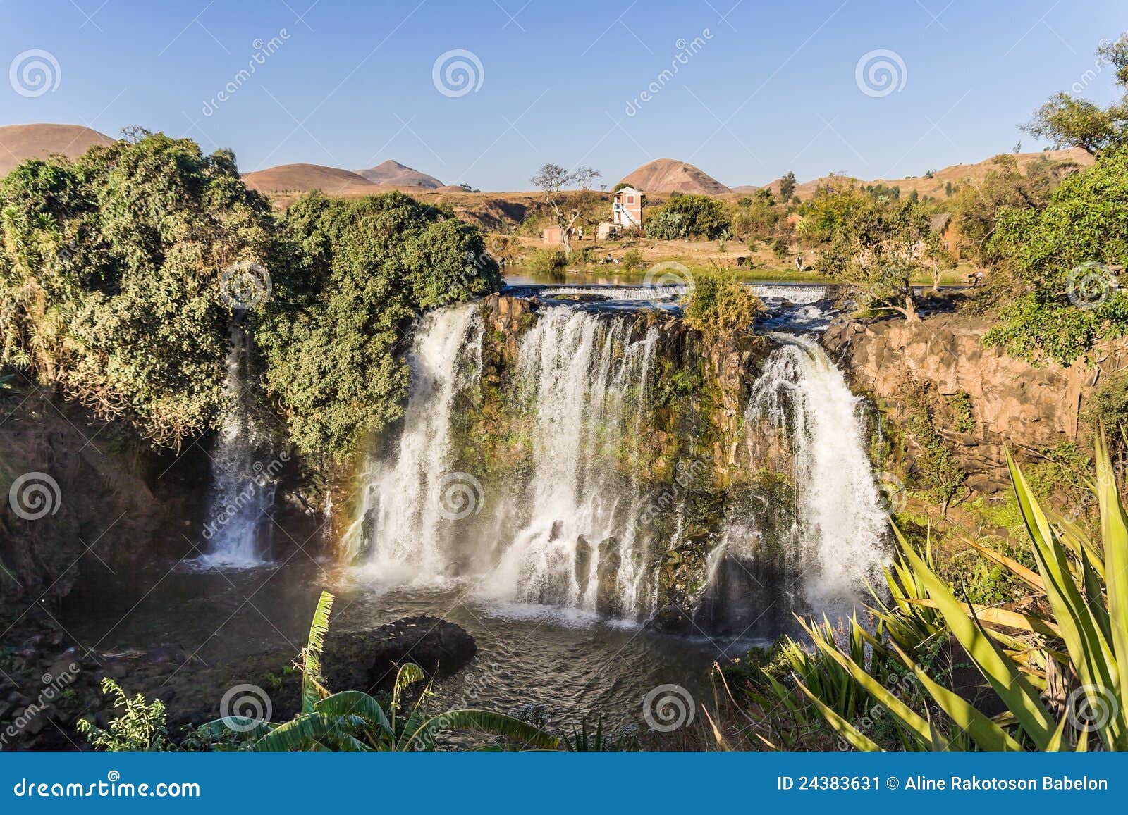 Lily waterfall stock image. Image of exotic, highlands - 24383631