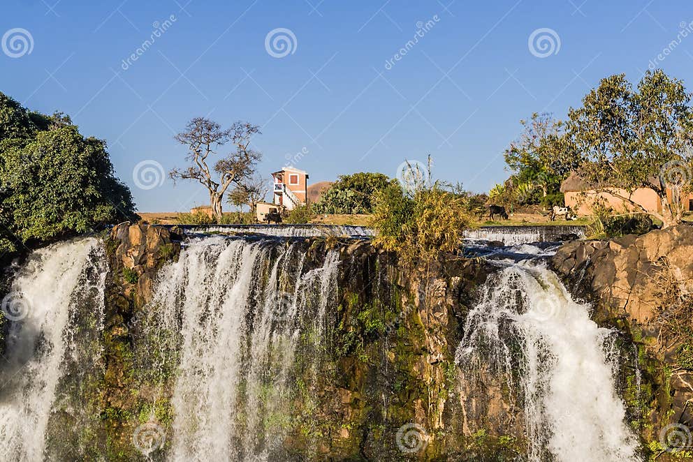 Lily waterfall stock photo. Image of jungle, beauty, highlands - 24396446