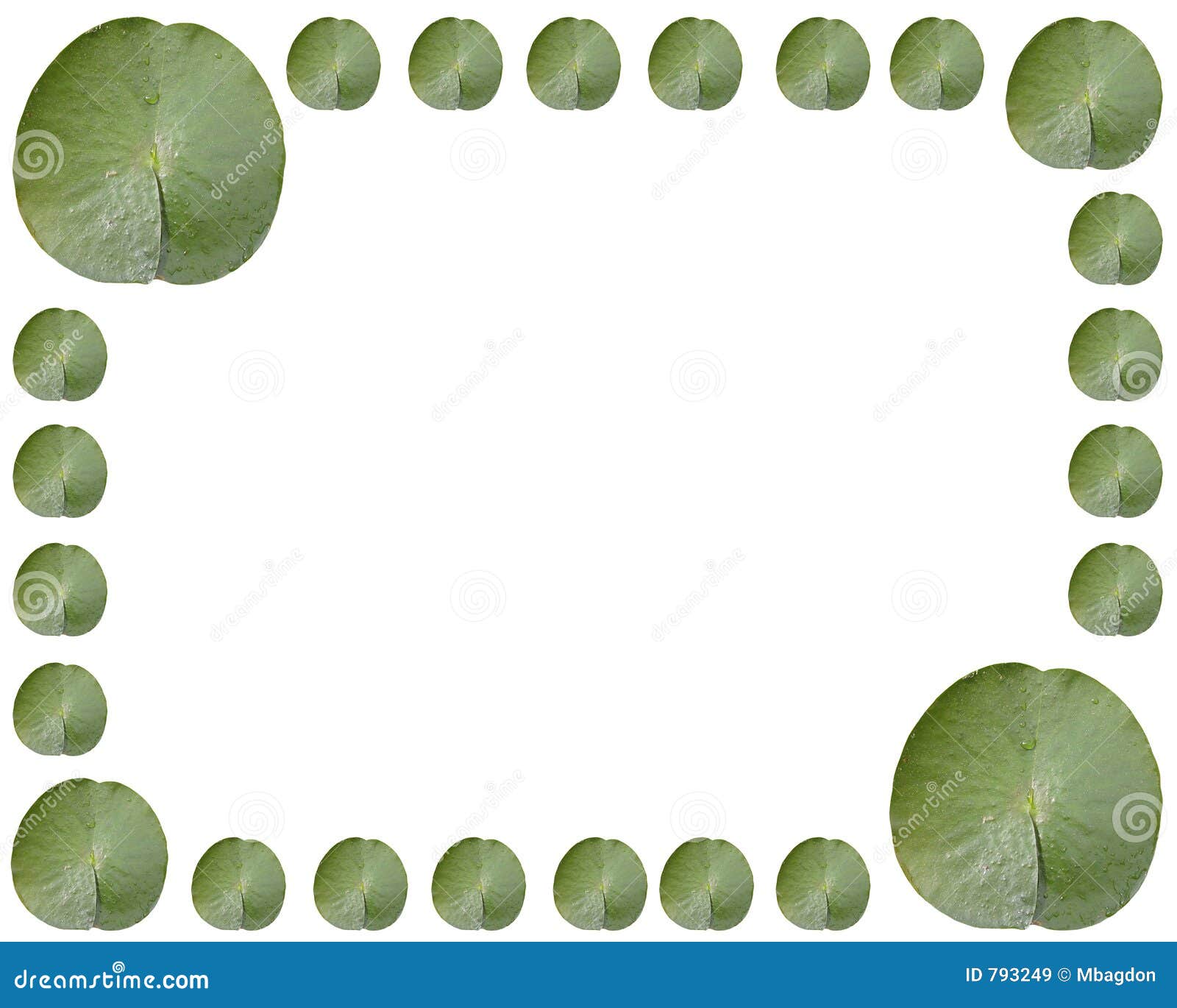 Lilypads stock image. Image of border, background, lilypad - 793249