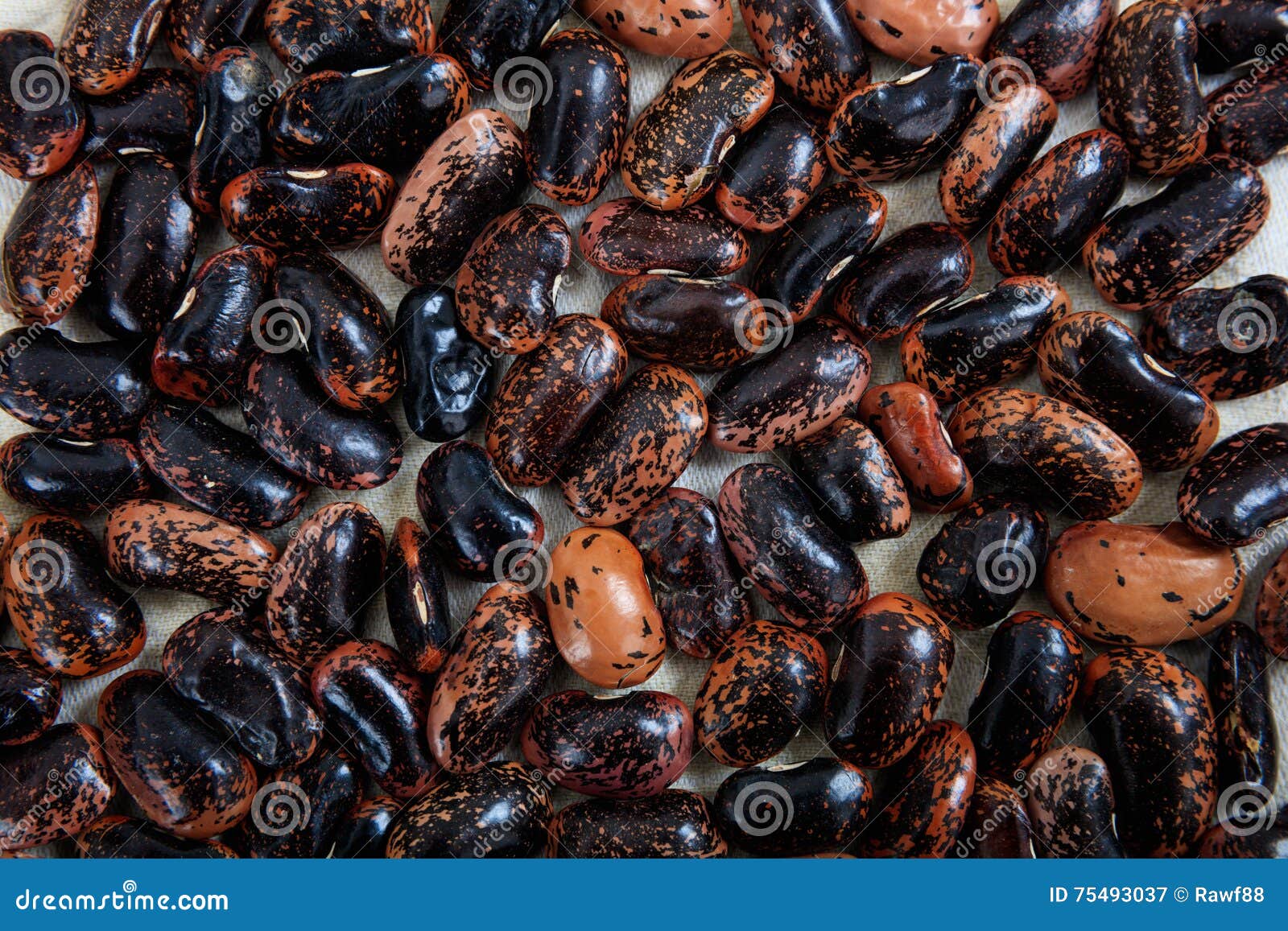 Lima beans full background stock image. Image of vegetable - 75493037
