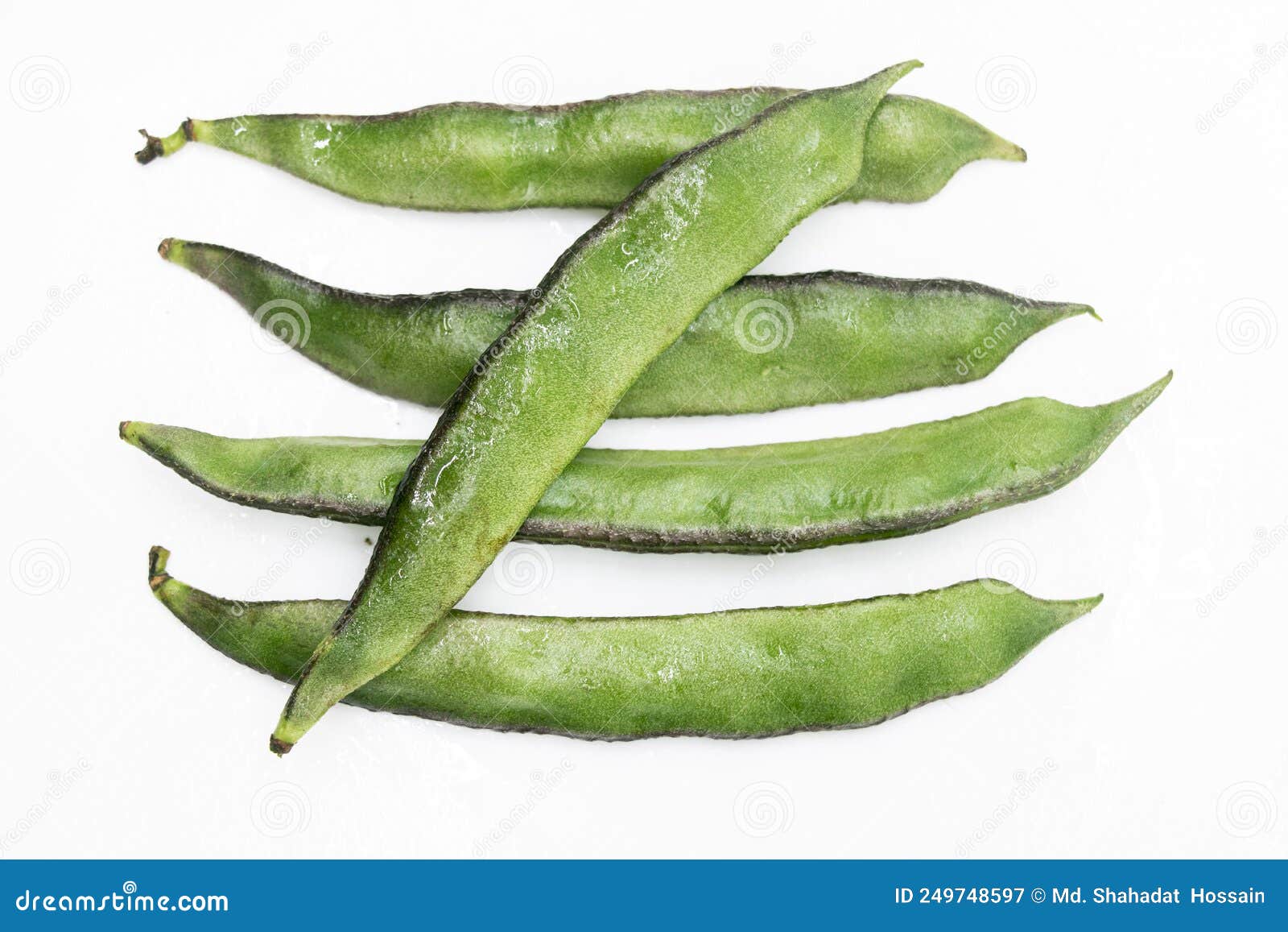 Lima Beans or Sheem Isolate on White Stock Image - Image of sheem ...
