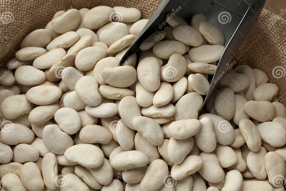 Lima bonen stock afbeelding. Image of eten, boter, voedsel - 39179929