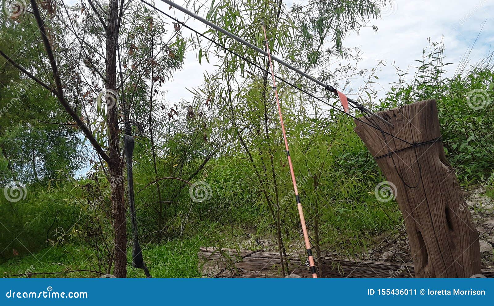 Limb line in the river stock image. Image of line, river - 155436011