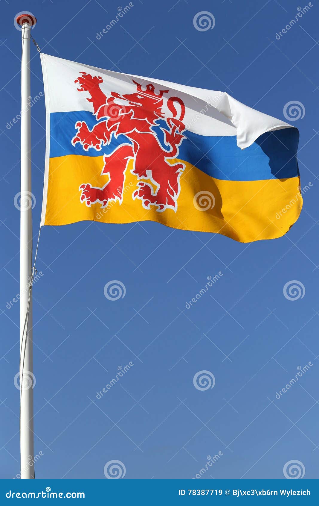 Limburg stock image. Image of banner, limburg, gold, national - 78387719