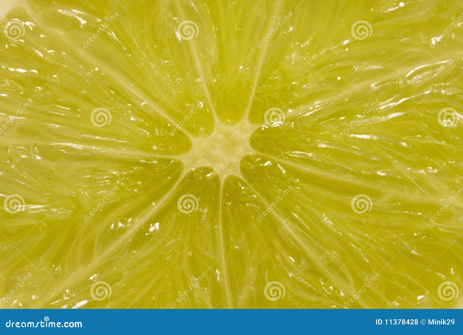 Lime stock photo. Image of fruit, nature, lime, fresh - 11378428